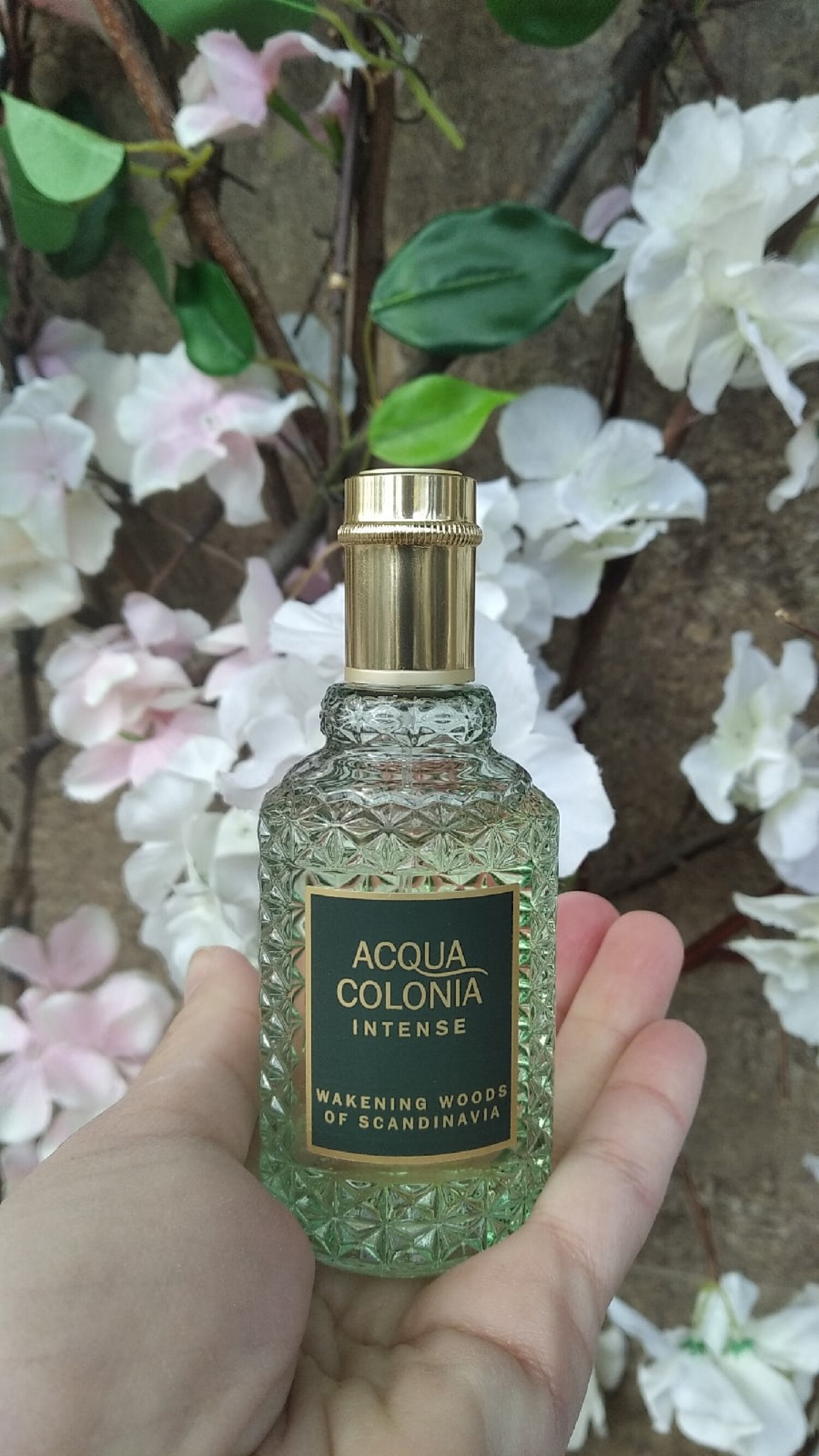 4711 Acqua Colonia Intense Wakening Woods Of Scandinavia 4711 fragancia ...