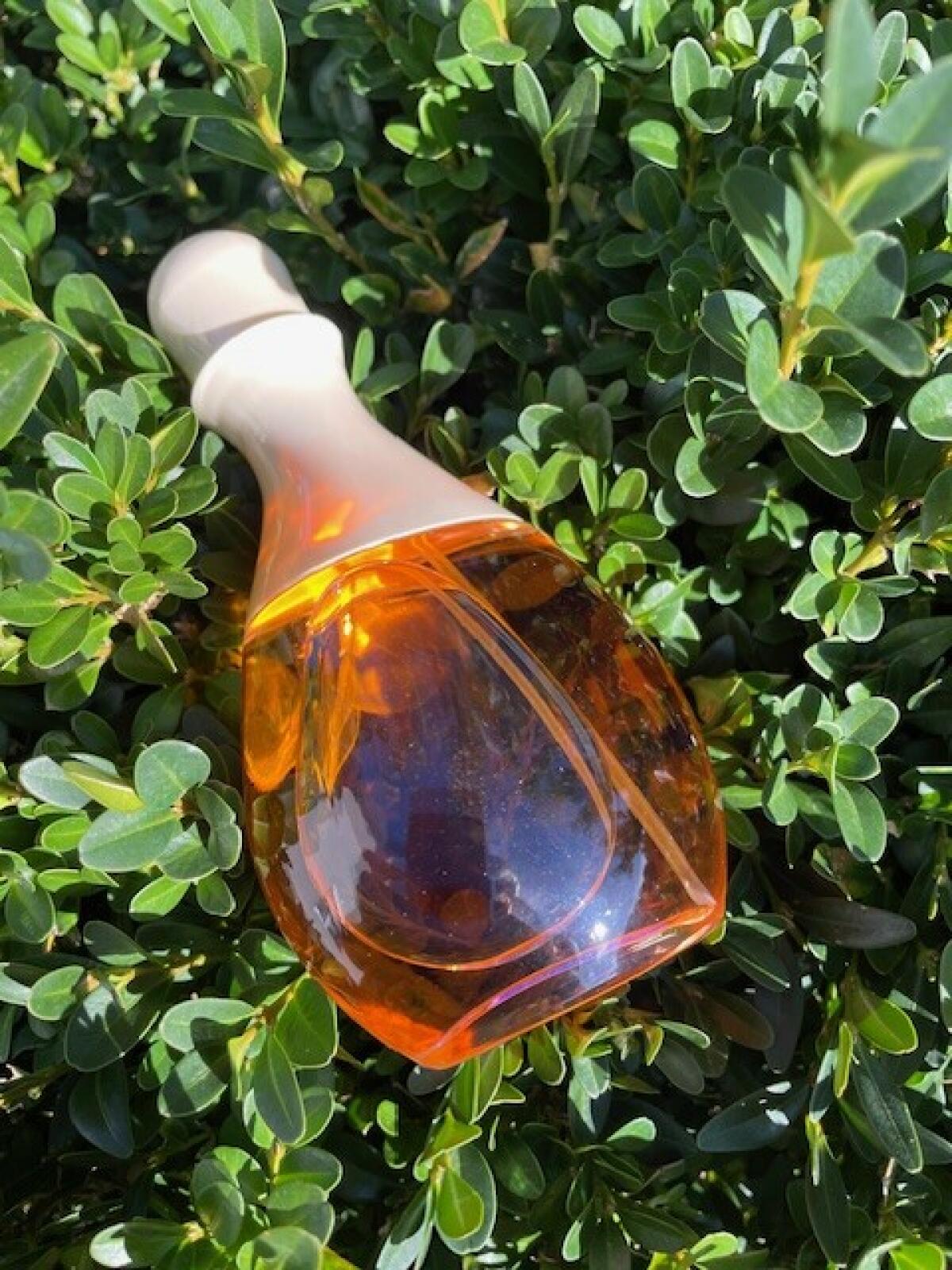 Halston Classic Halston perfume - a fragrance for women 1975