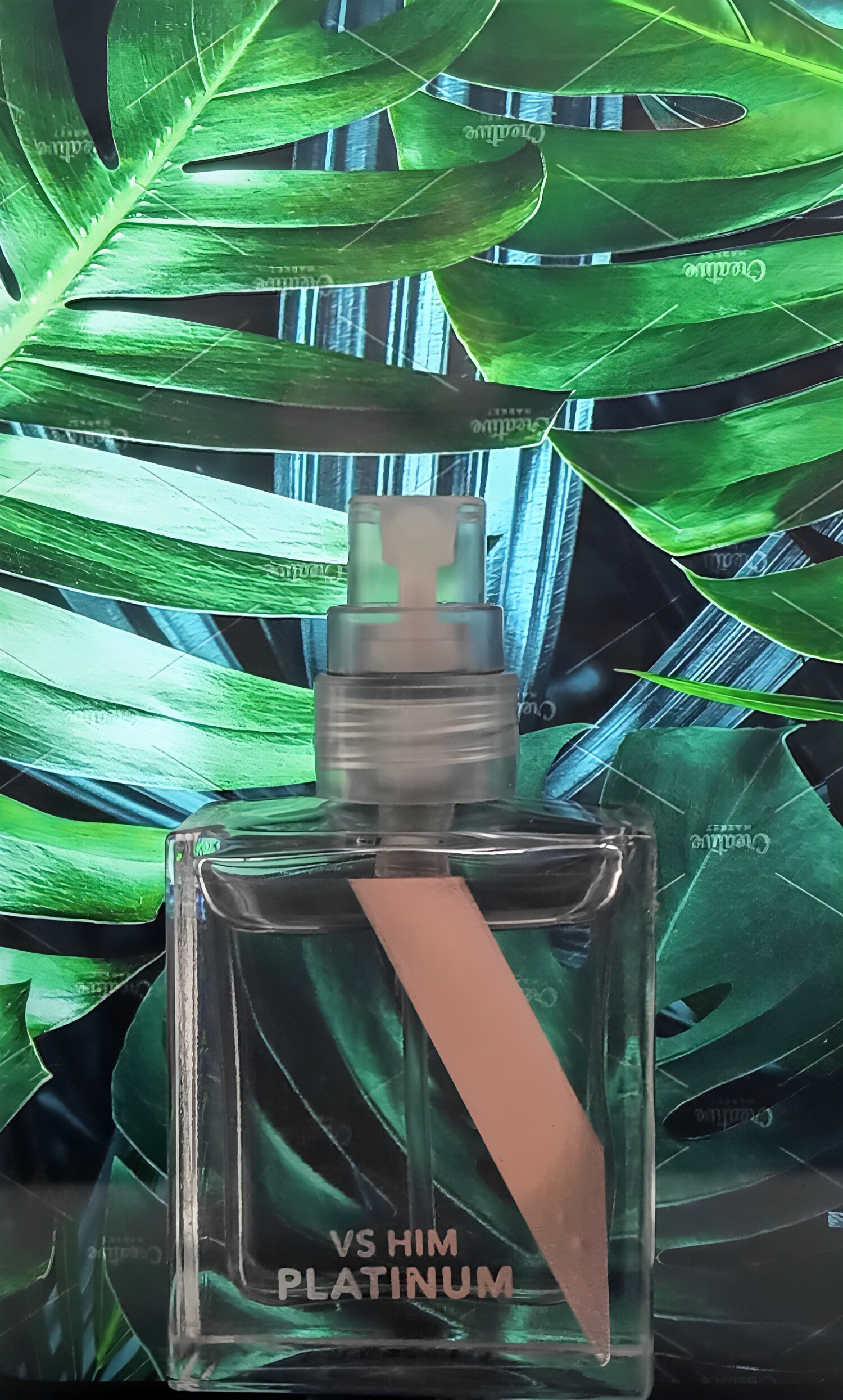 VS Him Platinum Victoria's Secret cologne - een geur voor heren 2021