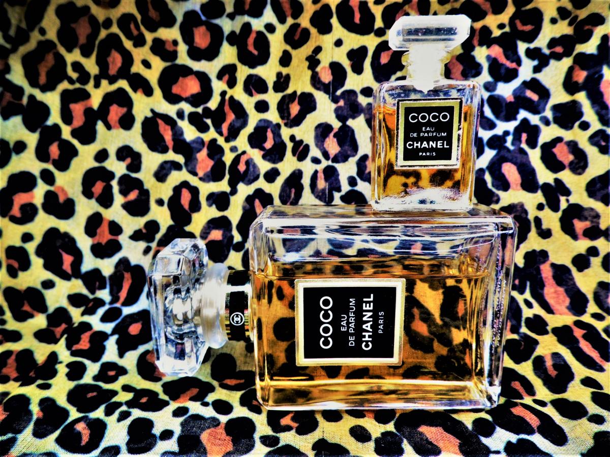 Coco Eau de Parfum Chanel perfume - a fragrância Feminino 1984