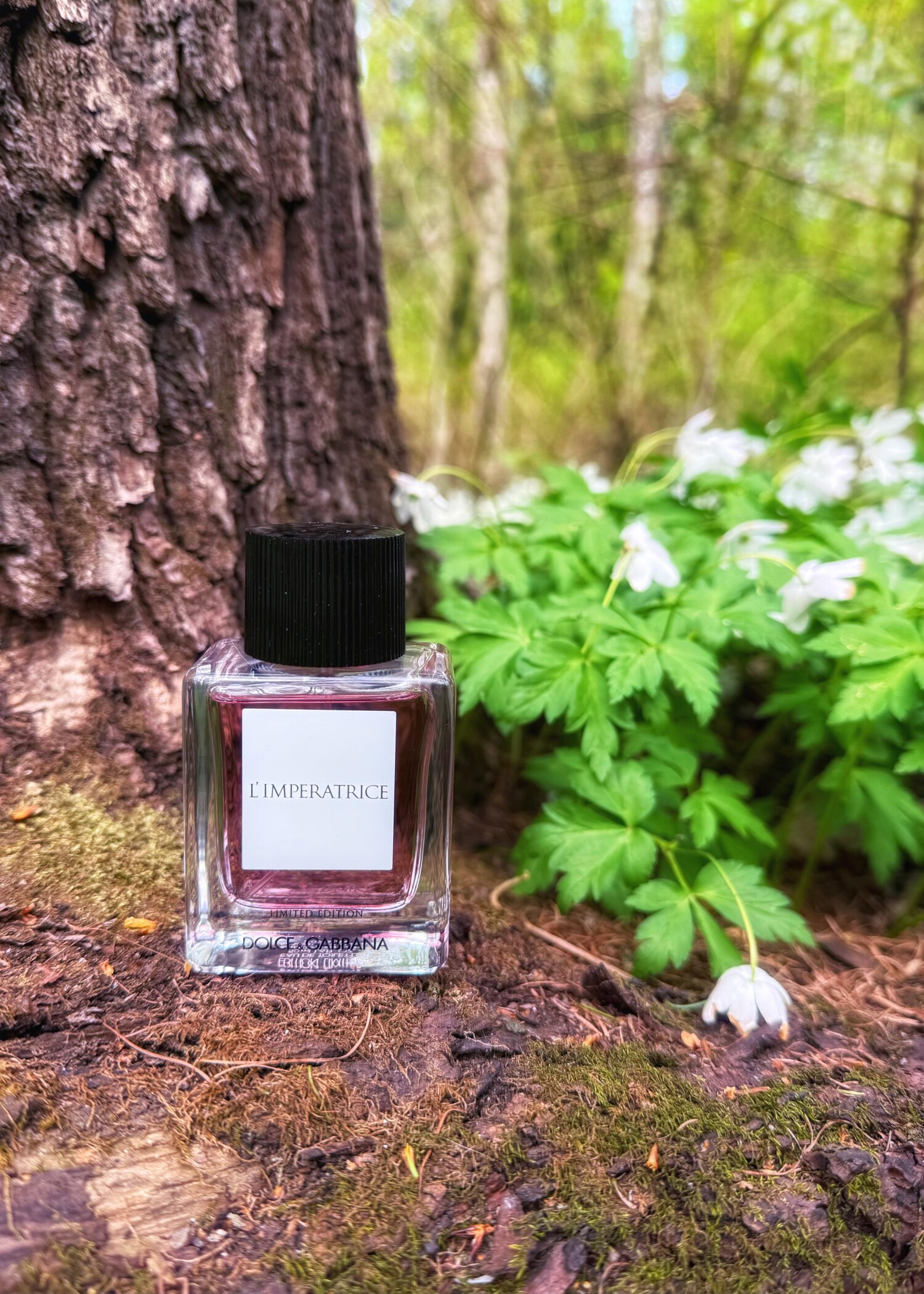 L'Imperatrice Limited Edition Dolce&Gabbana perfume - a fragrance for ...