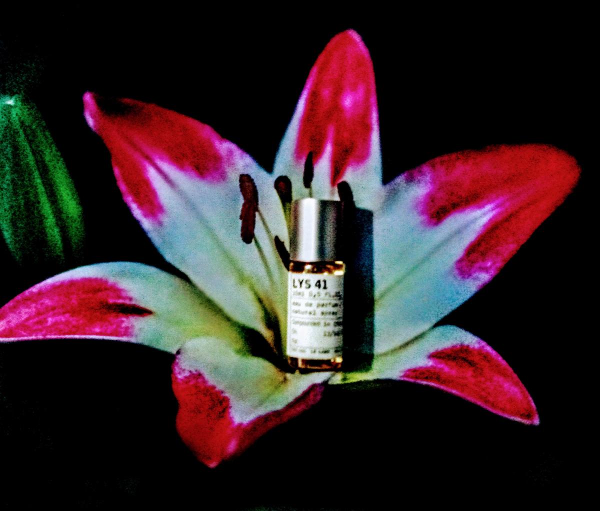 Lys 41 Le Labo perfume - a fragrance for women 2013
