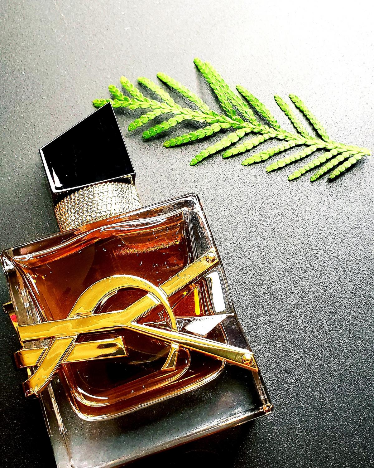 Libre Intense Yves Saint Laurent perfume - a new fragrance for women 2020