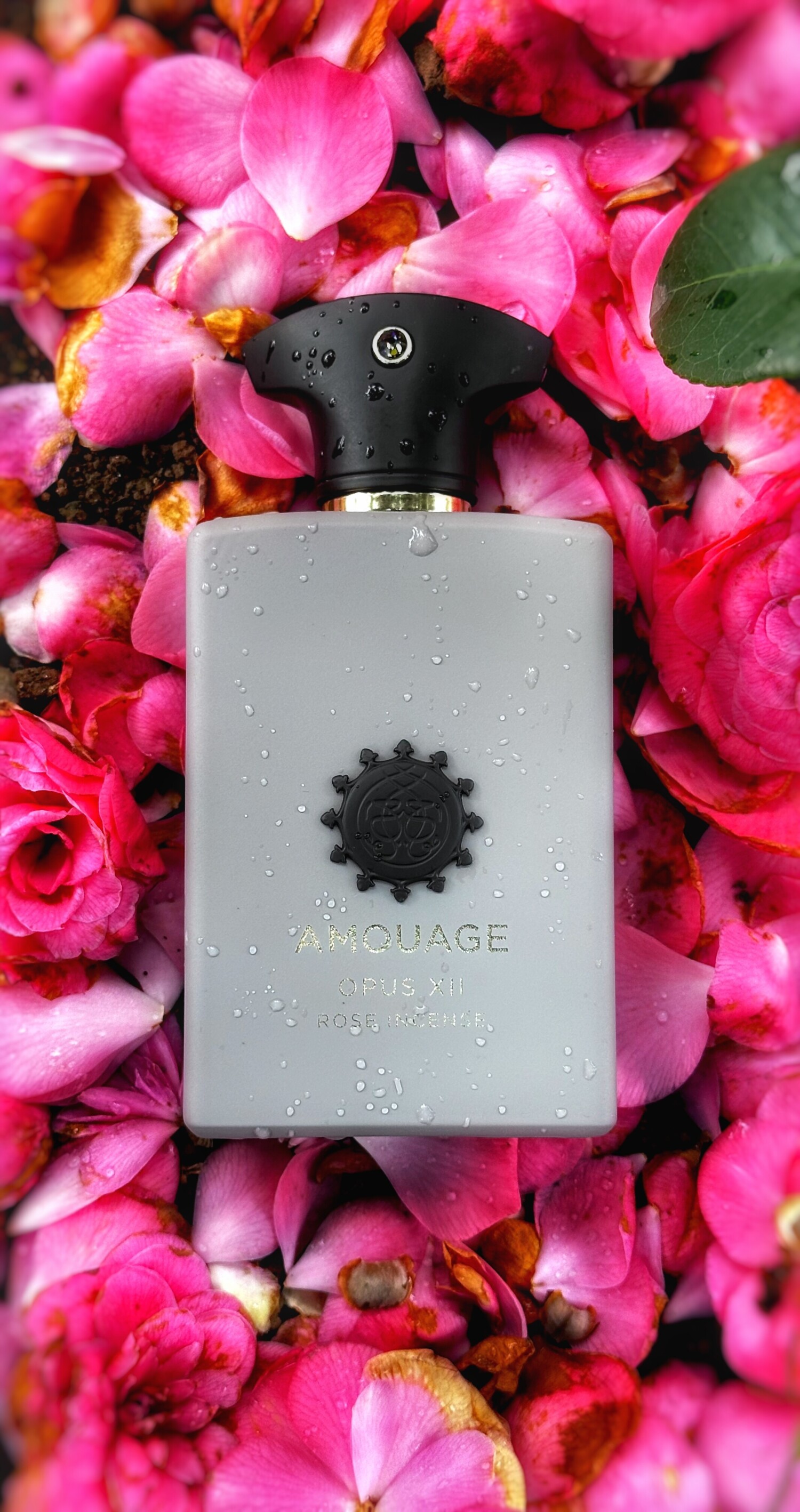 Opus XII – Rose Incense Amouage 香水 - 一款 2019年 中性 香水