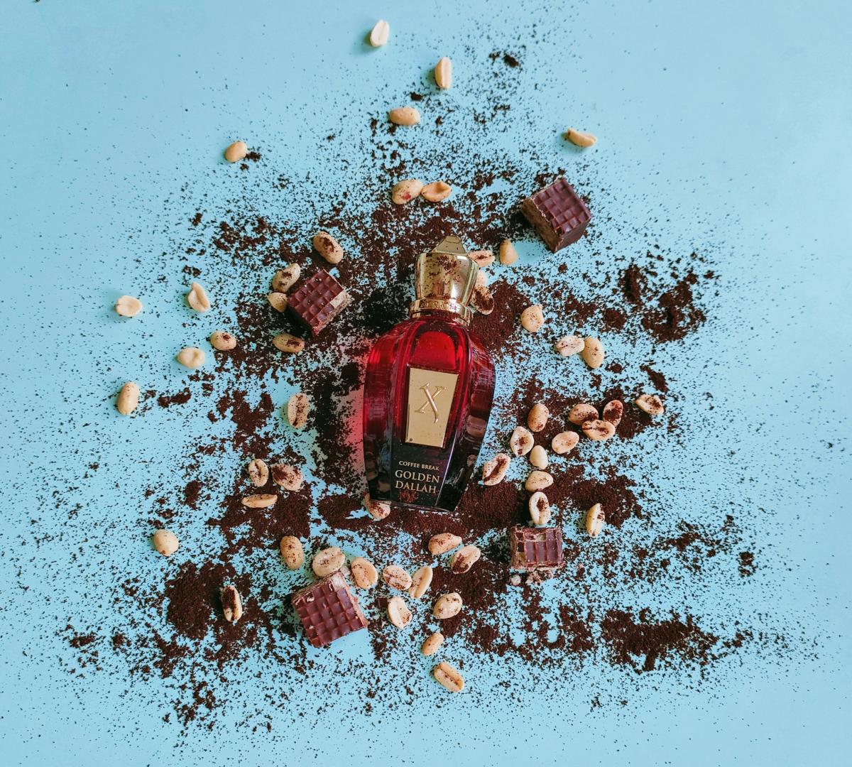 Golden Dallah Xerjoff perfume - a fragrance for women and men 2018