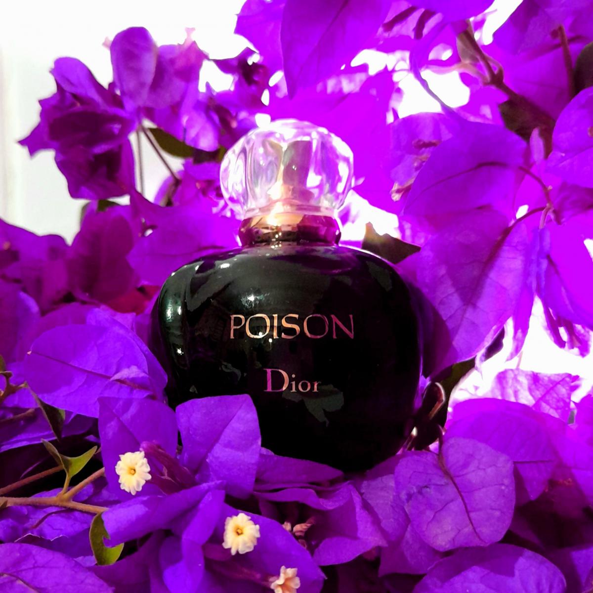 Poison Dior perfume - a fragrância Feminino 1985