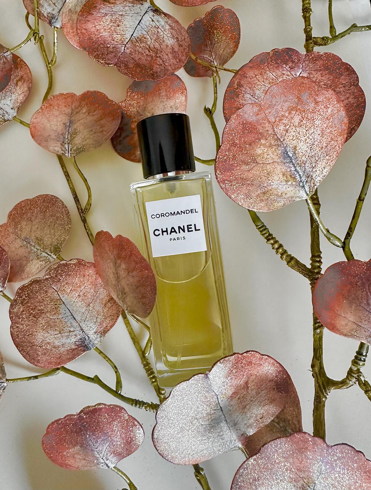 Les Exclusifs de Chanel Coromandel Chanel perfume - a fragrância Feminino