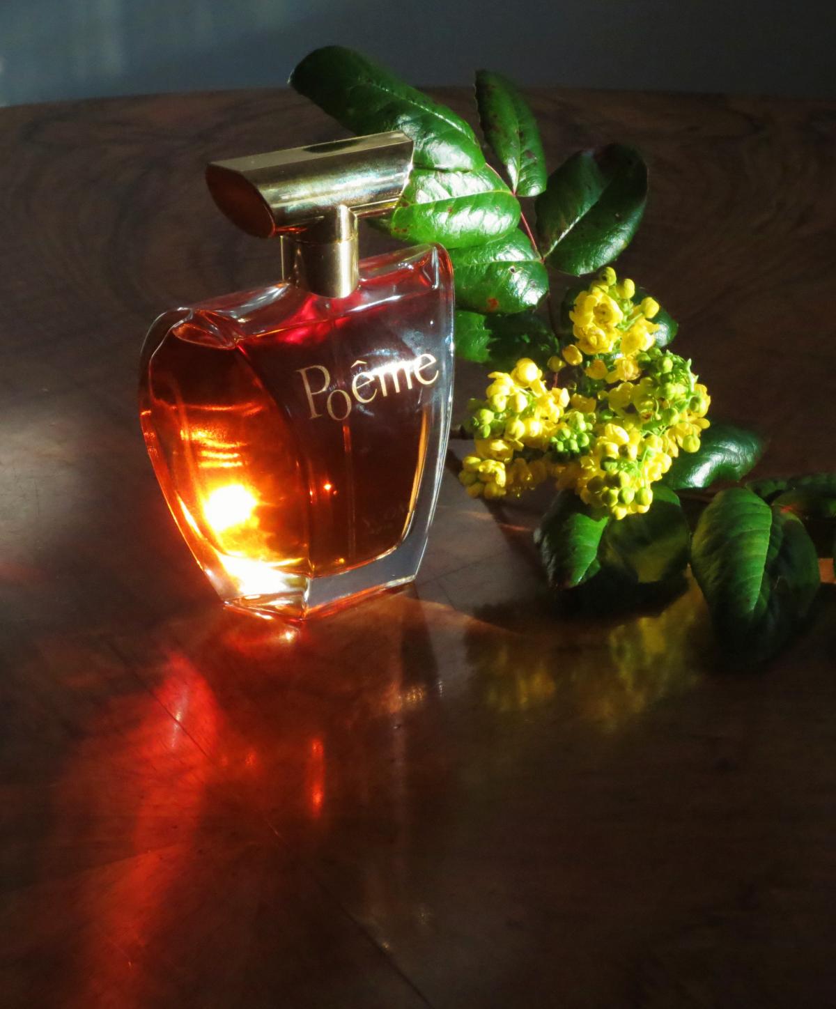 Poeme Lancôme perfume - a fragrance for women 1995