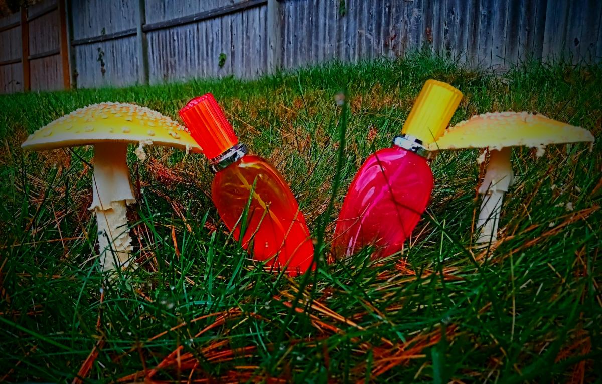 Sunset Heat Escada perfume - a fragrance for women 2007