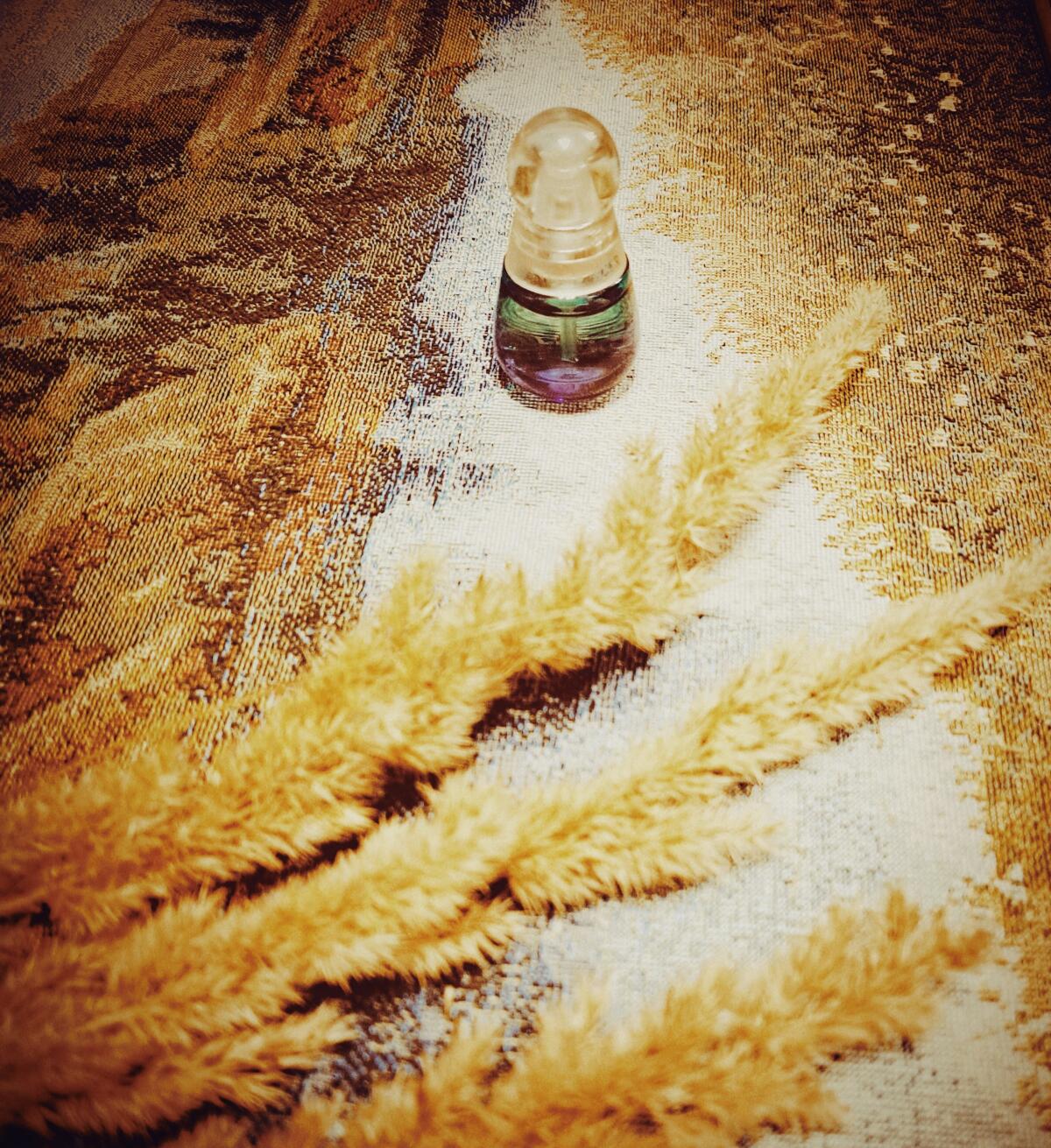 Beyond Paradise Estée Lauder perfume - a fragrance for women 2003