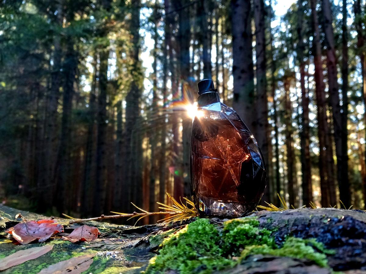 Stone For Him Replay cologne - a fragrance for men 2015