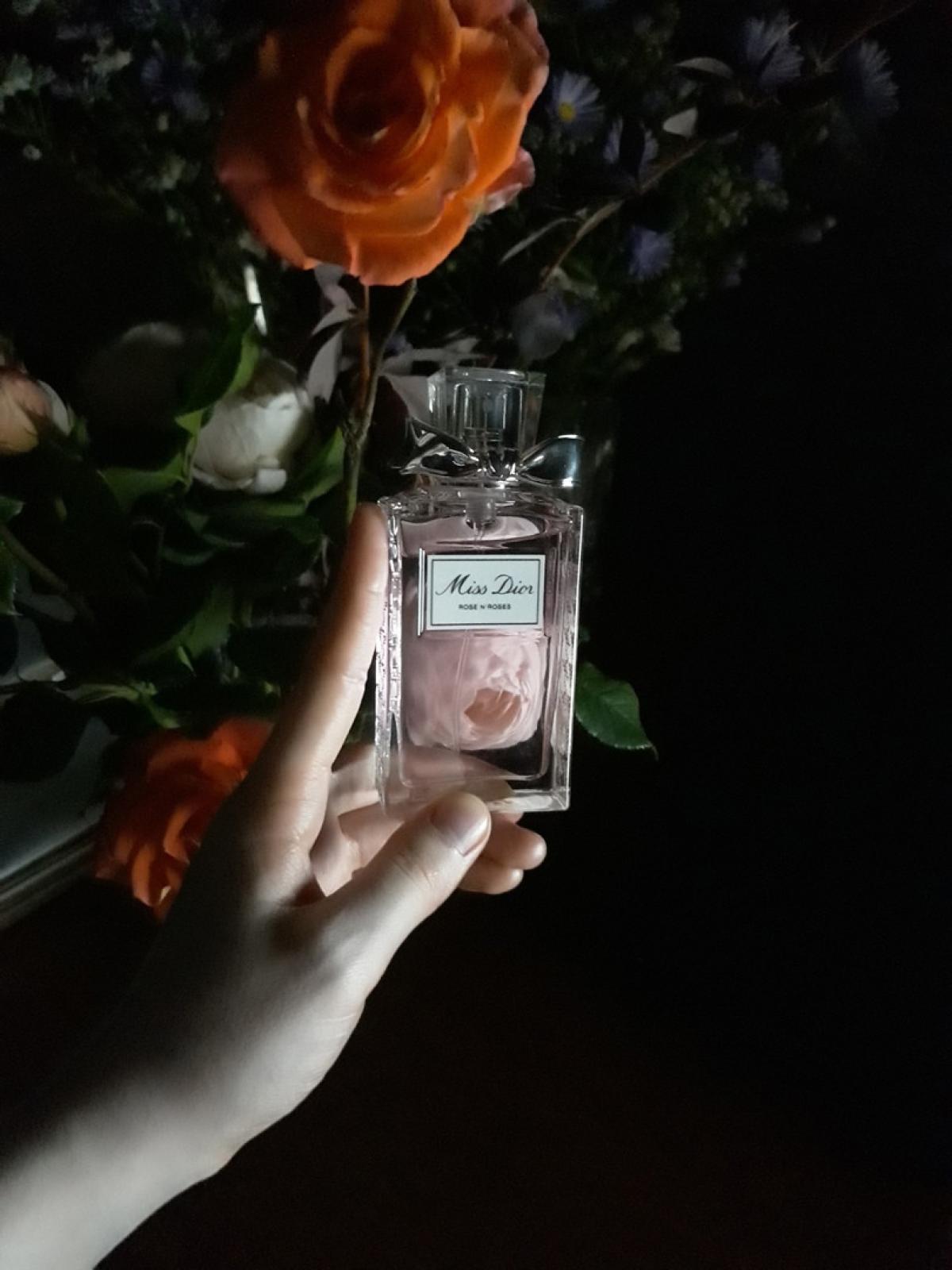 Miss Dior Rose N'Roses Dior perfume - a fragrance for women 2020