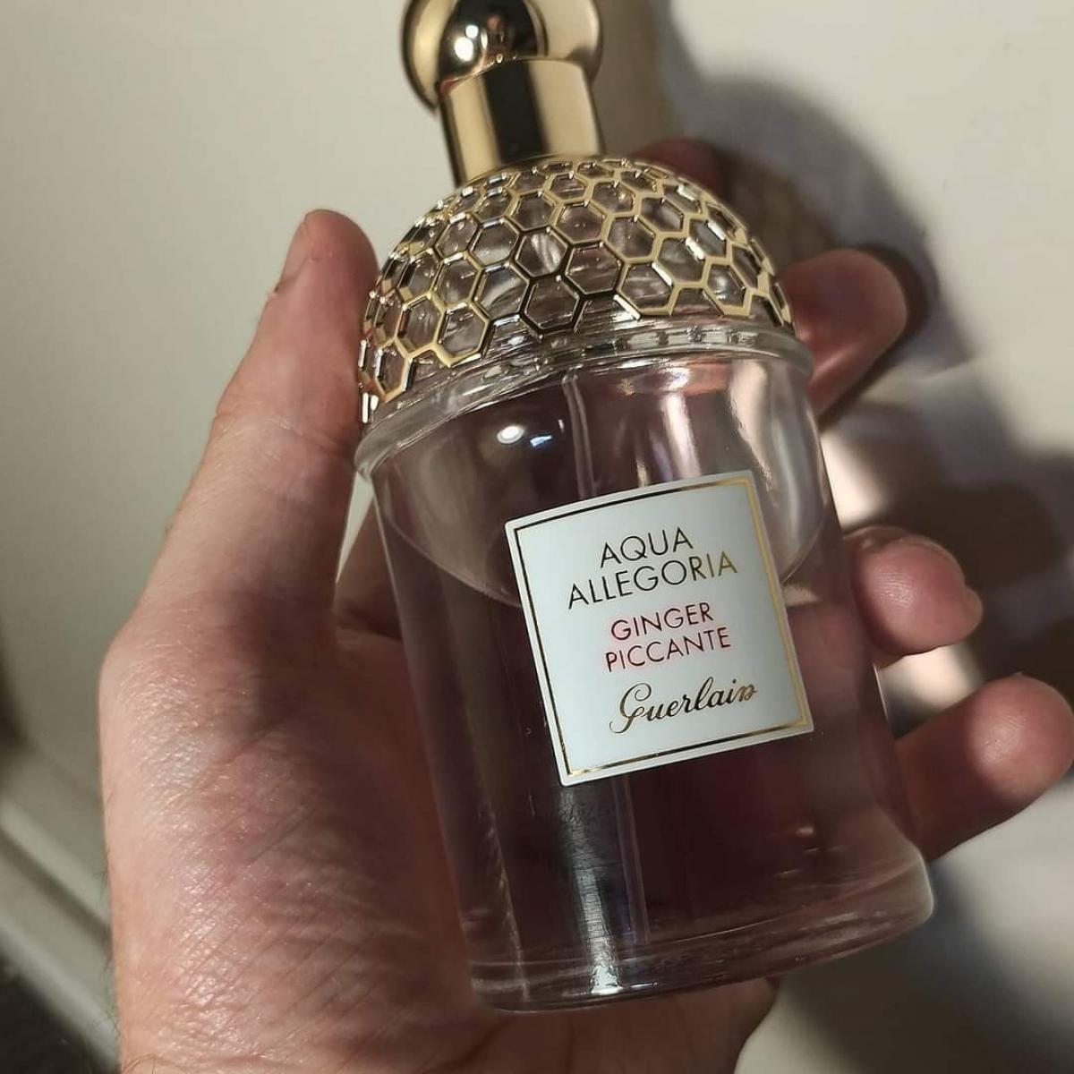 Aqua Allegoria Ginger Piccante Guerlain perfume - a fragrance for women ...