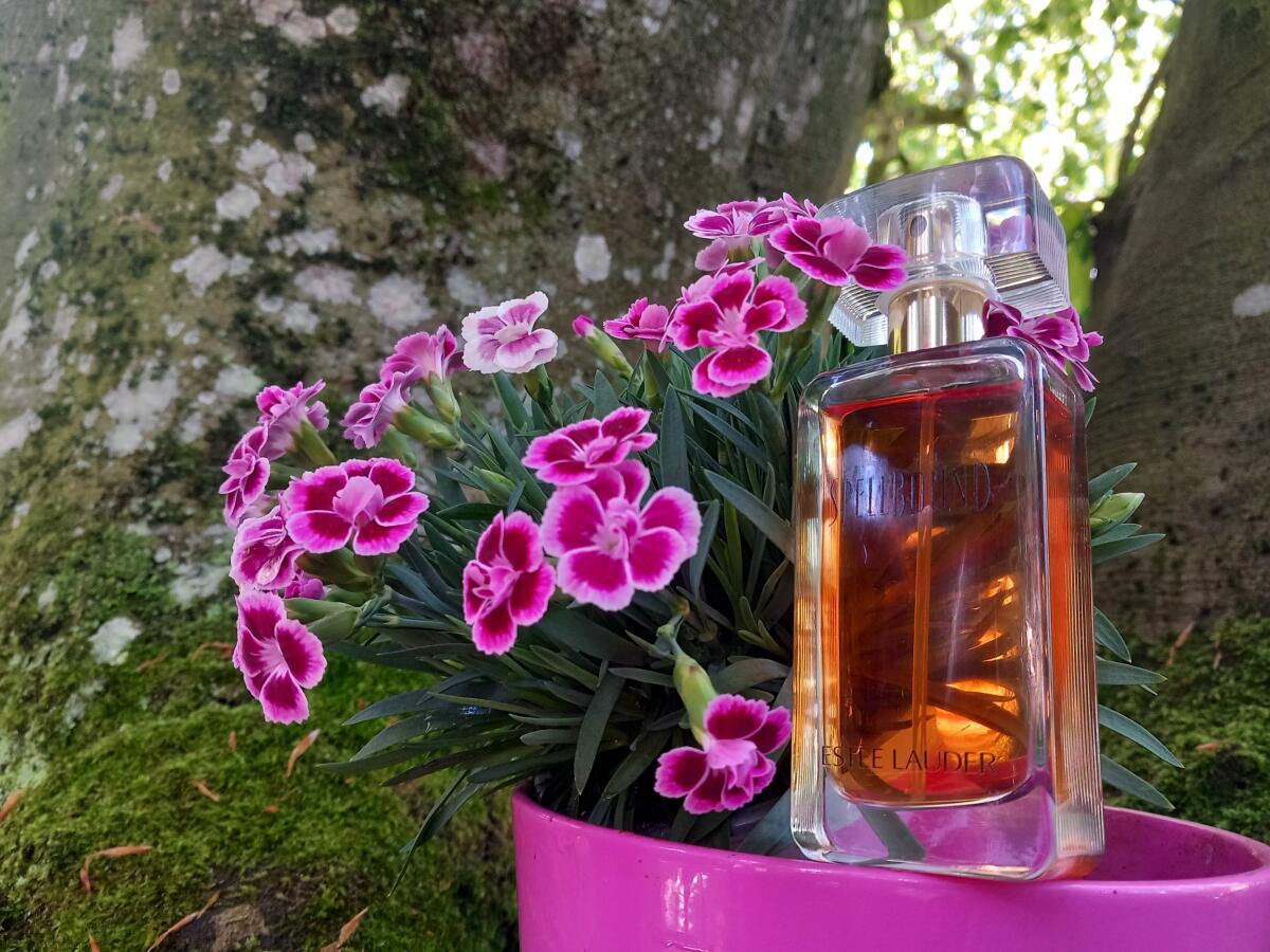 SpellBound Estée Lauder perfume - a fragrance for women 2014