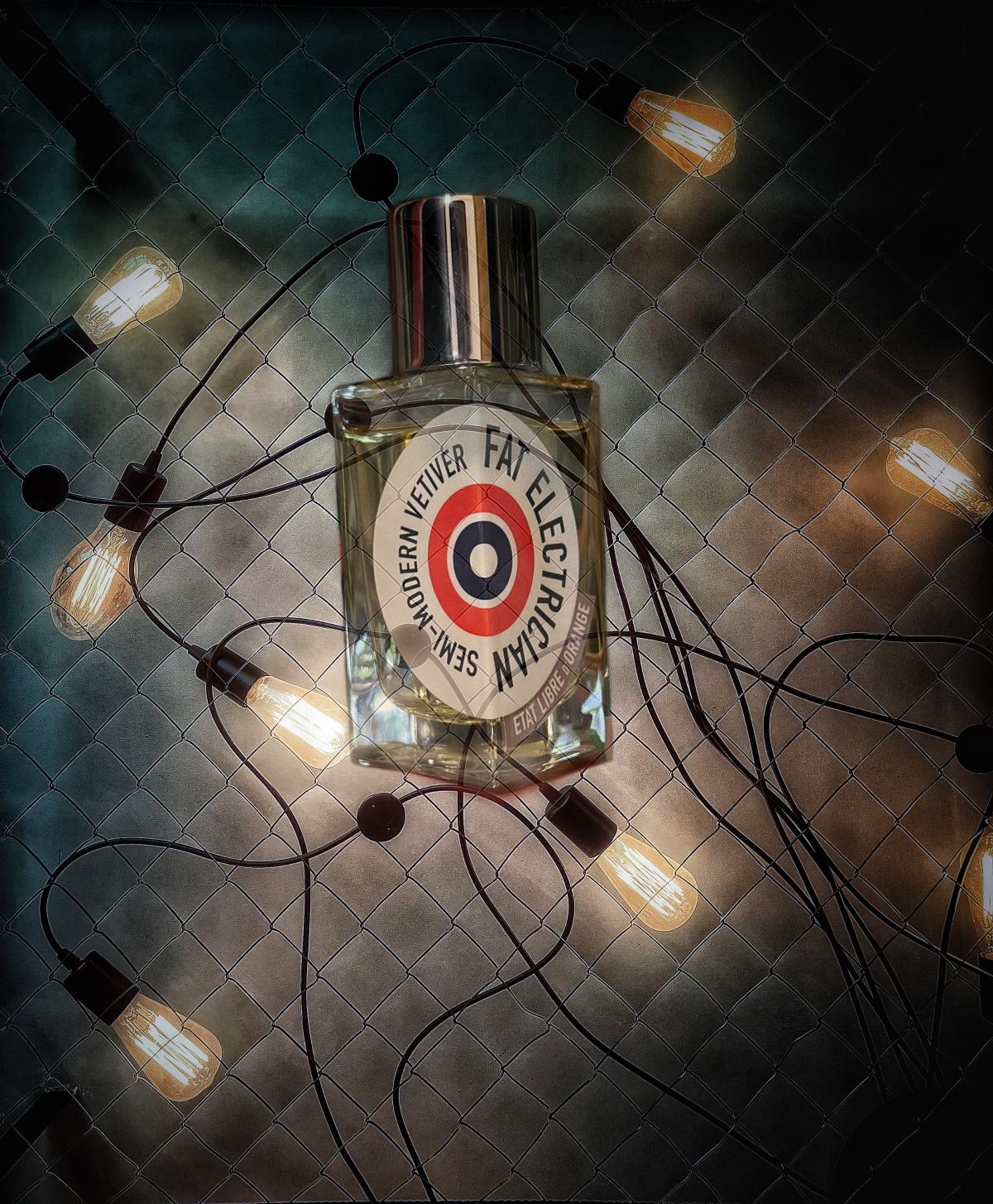 Fat Electrician Semi-Modern Vetiver Etat Libre d'Orange cologne - a ...