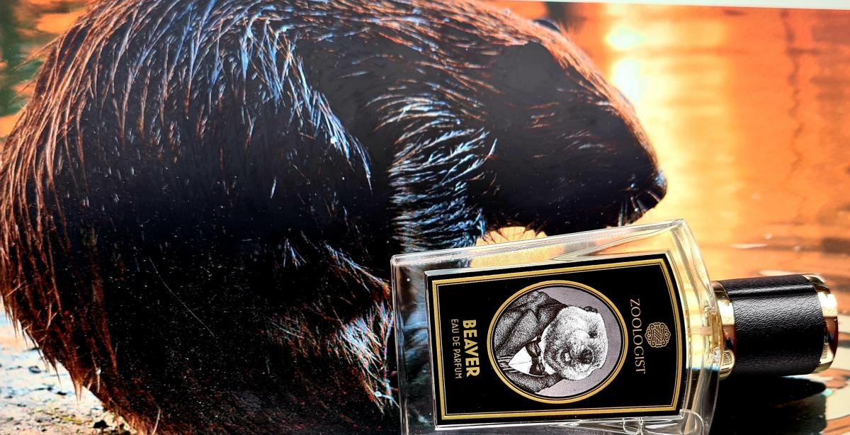 Beaver Edition 2016 Zoologist Perfumes בושם - הינו ניחוח 2016 לנשים וגברים
