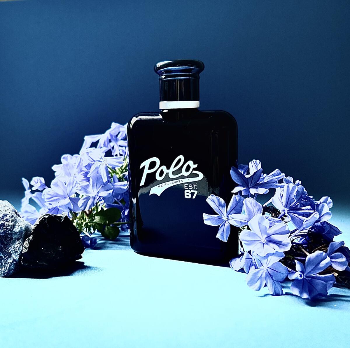 Polo 67 Ralph Lauren cologne - a new fragrance for men 2024