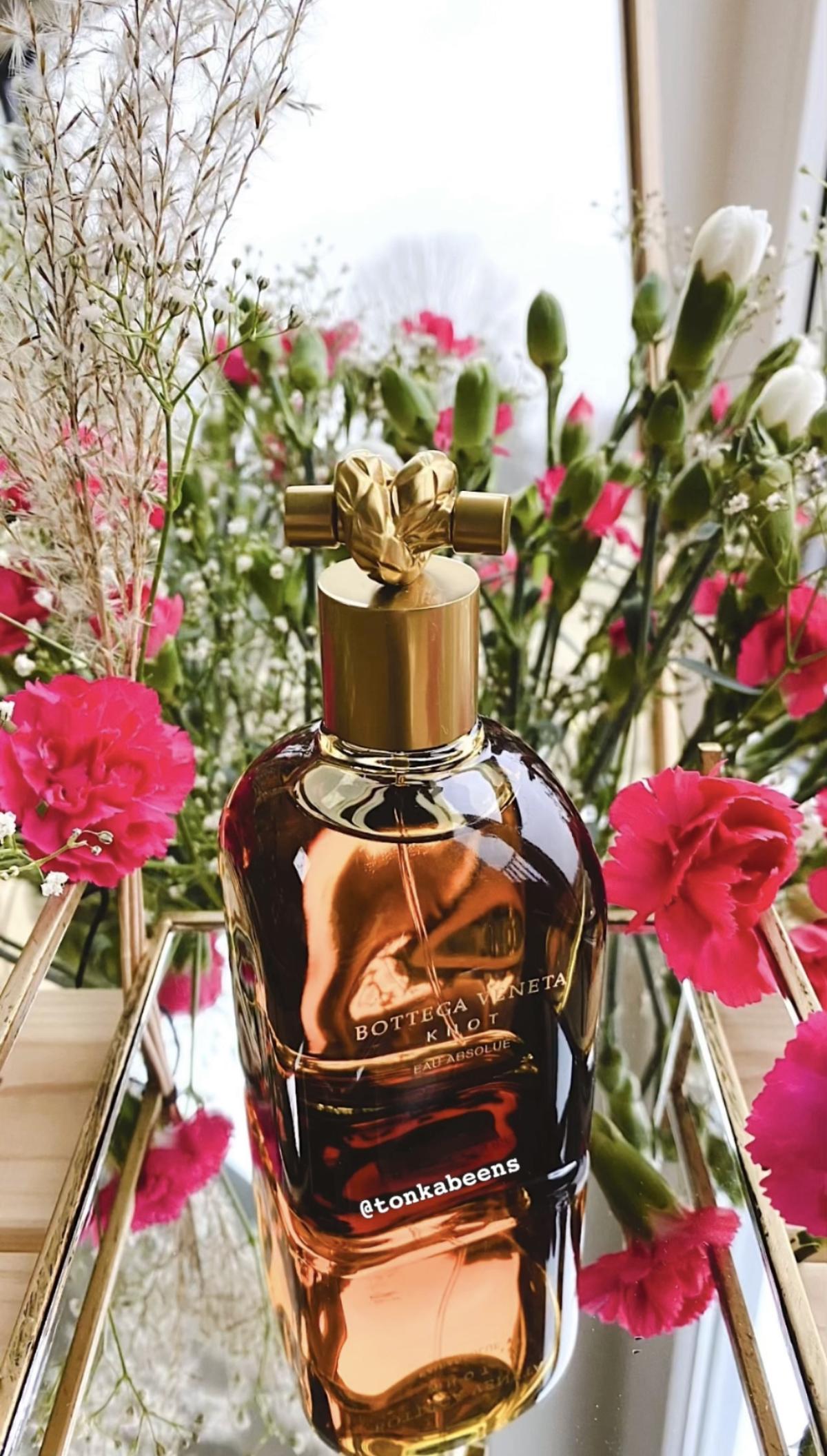 Knot Eau Absolue Bottega Veneta perfume - a fragrance for women 2018