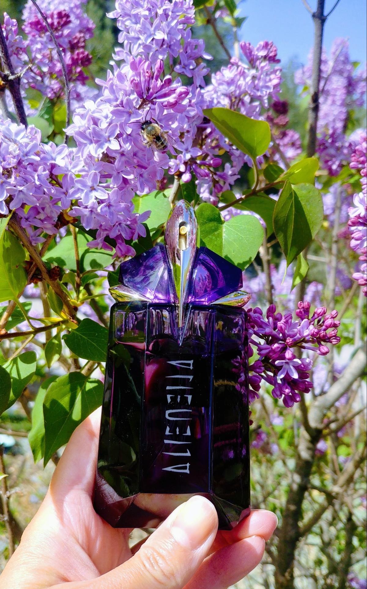 Alien Mugler perfume - a fragrance for women 2005