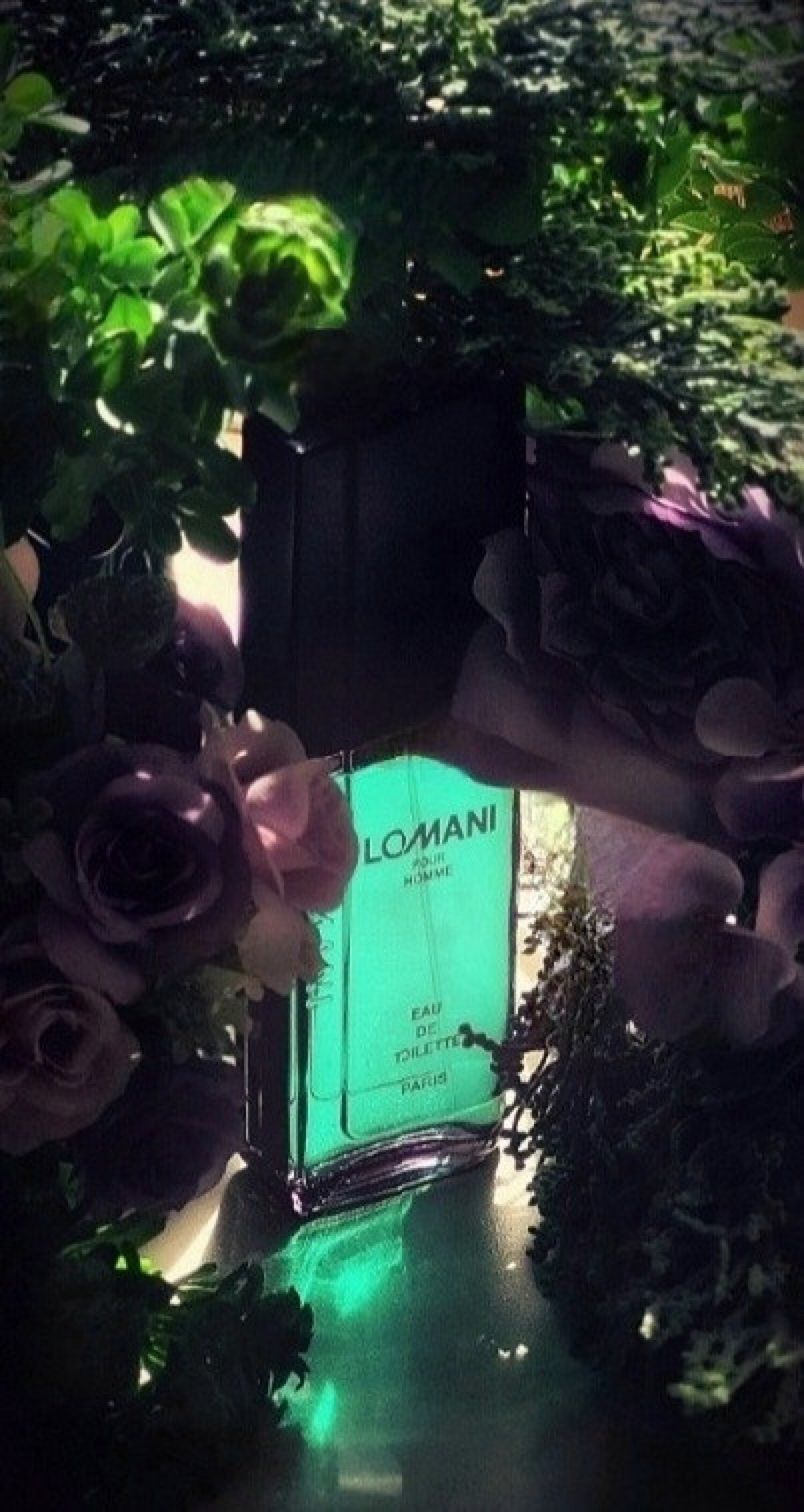 Lomani pour Homme Lomani コロン - 1987年の男性用 フレグランス