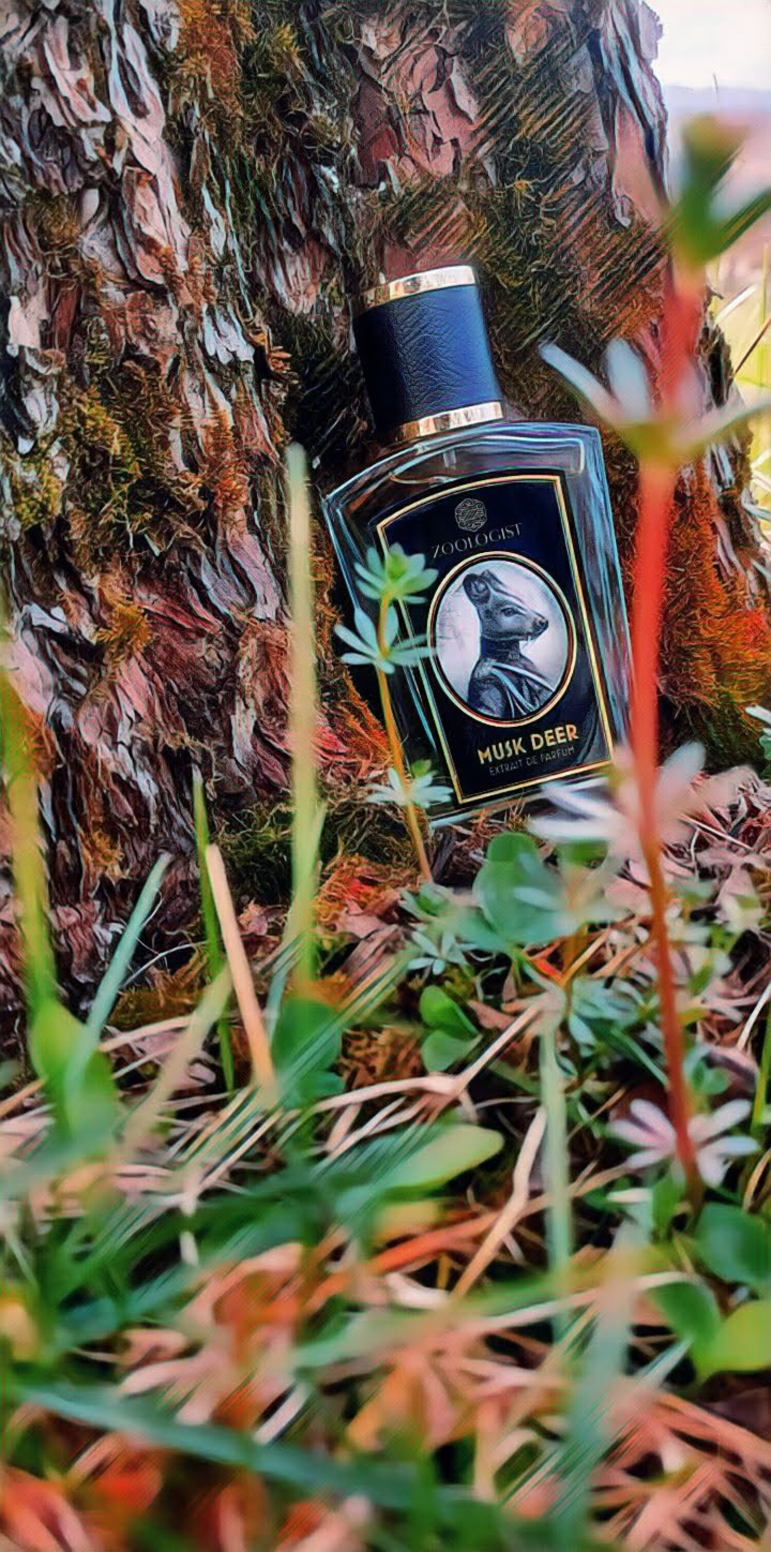 Musk Deer Zoologist Perfumes perfume - a fragrance for women and men 2020