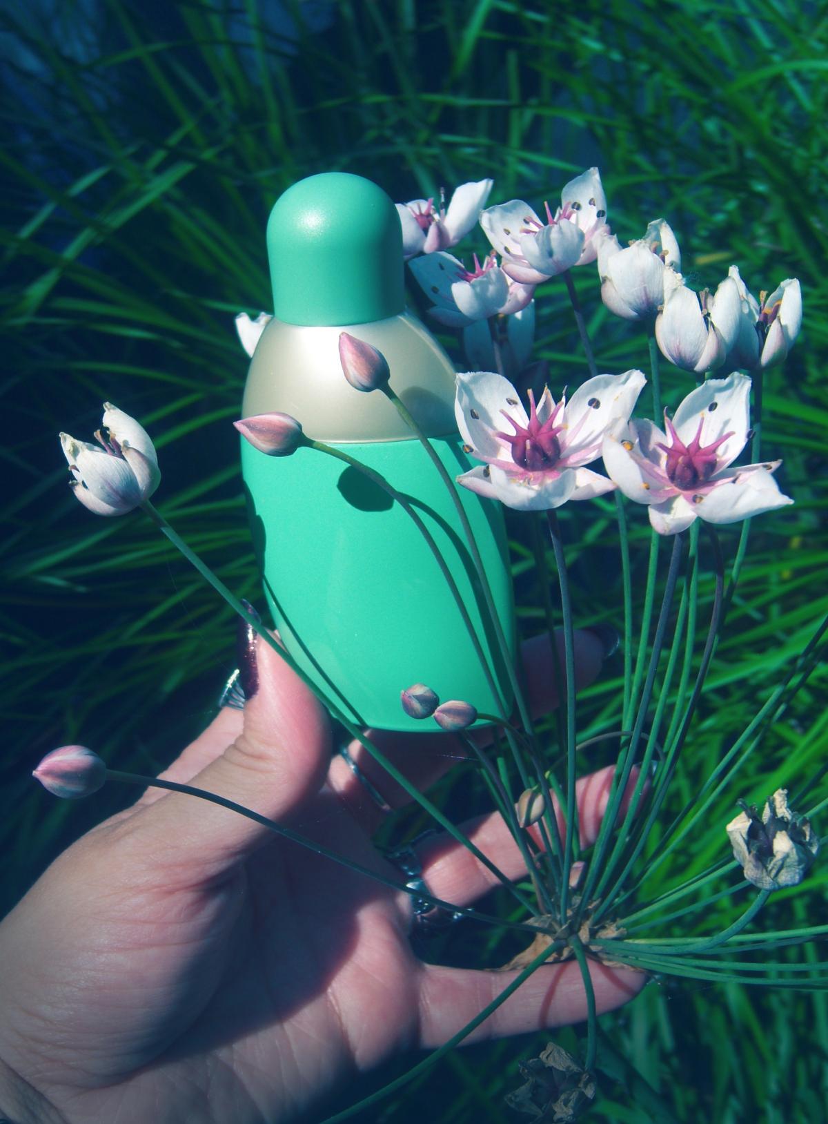 Eden Cacharel perfume - a fragrance for women 1994