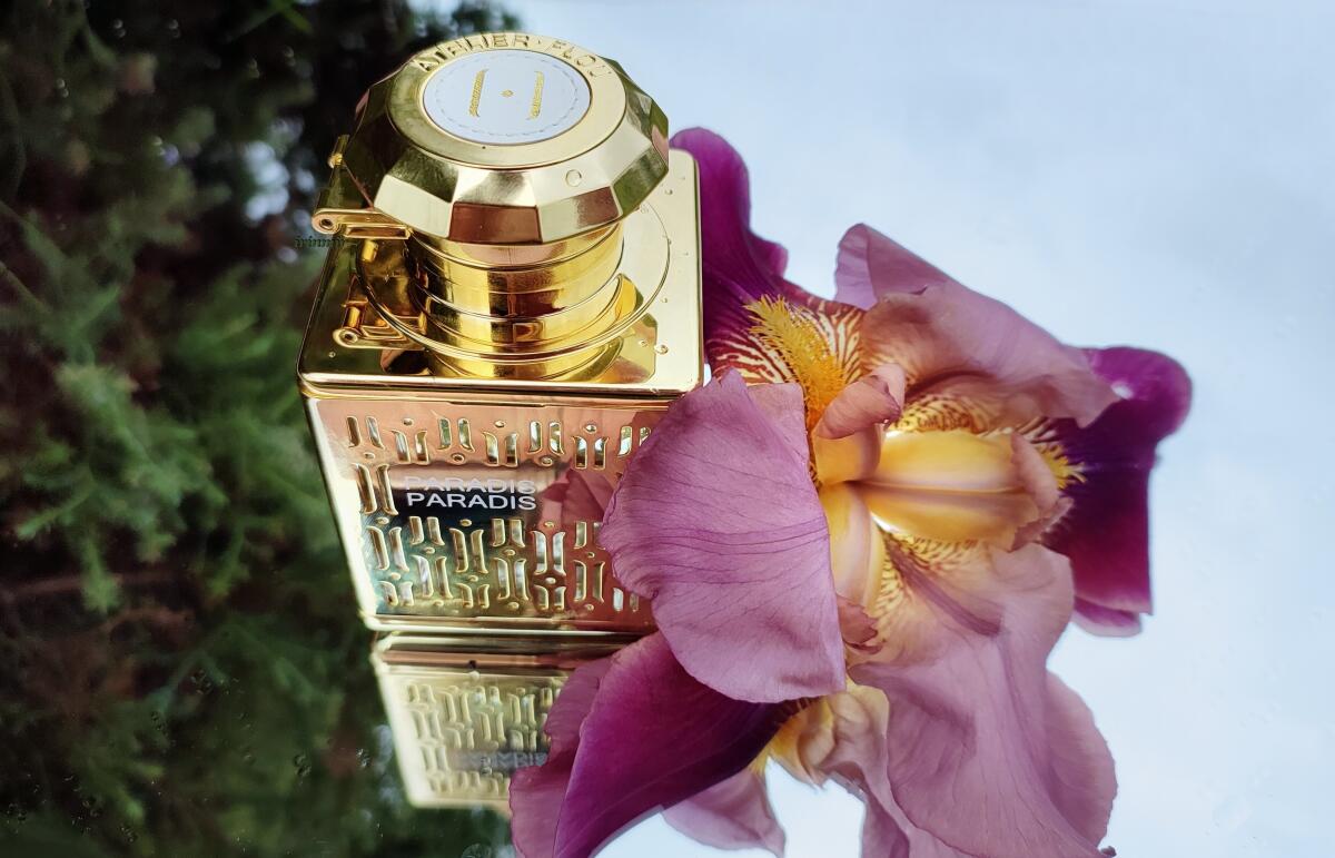 Paradis Paradis Atelier Flou perfume - a fragrance for women