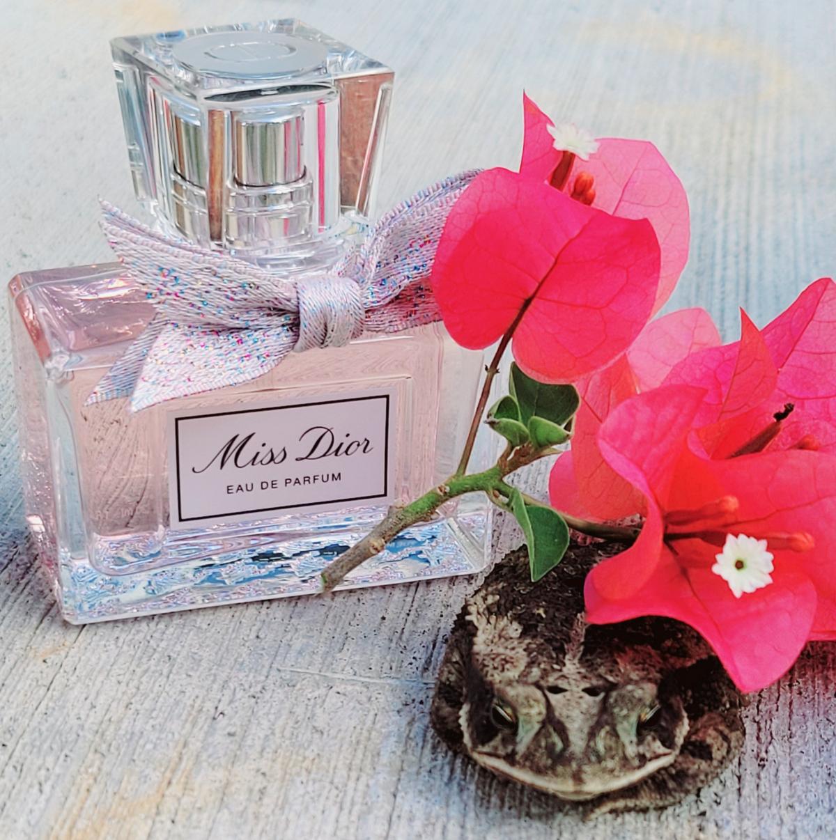 Miss Dior Eau de Parfum (2021) Dior perfume - a fragrance for women 2021