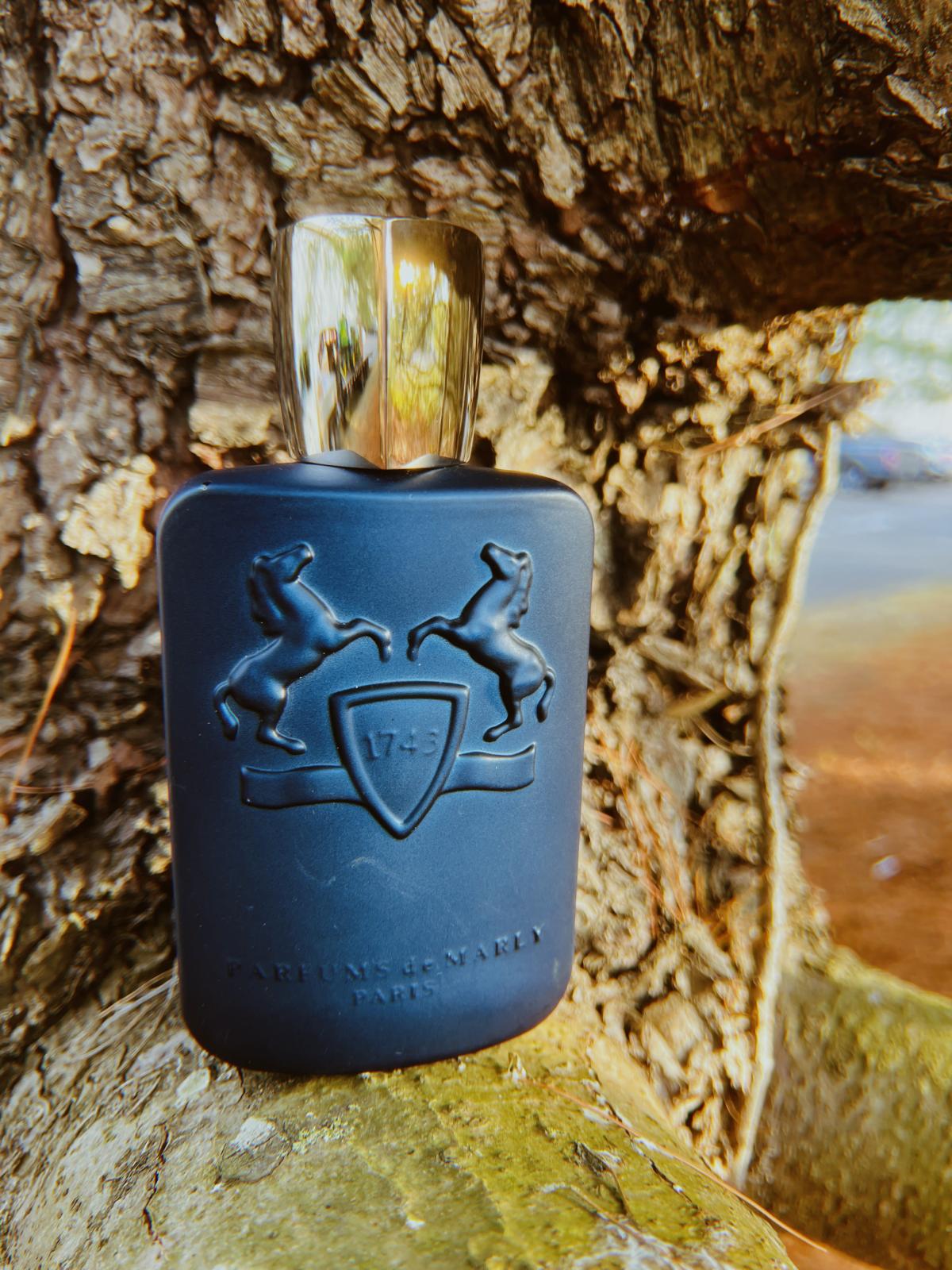 Layton Parfums de Marly perfume - a fragrância Compartilhável 2016