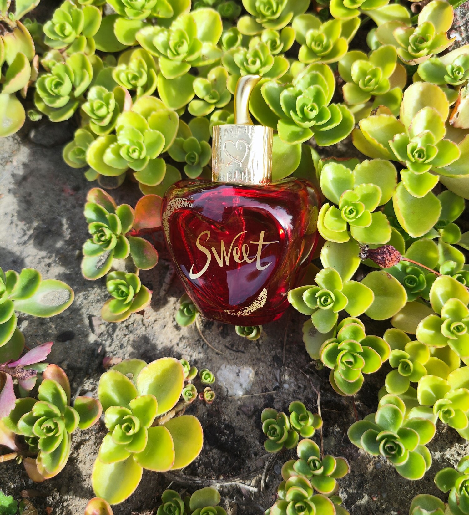 Sweet Lolita Lempicka perfume - a fragrance for women 2014