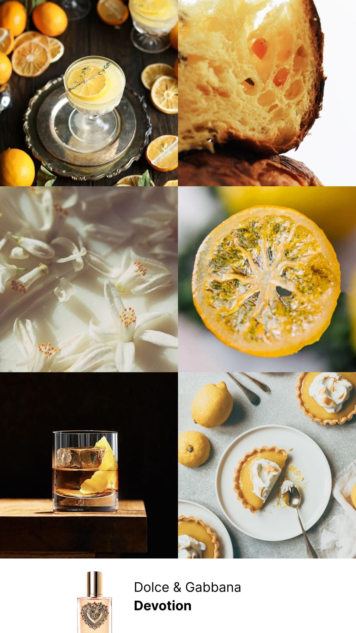 Devotion Dolce&Gabbana perfume - a new fragrance for women 2023