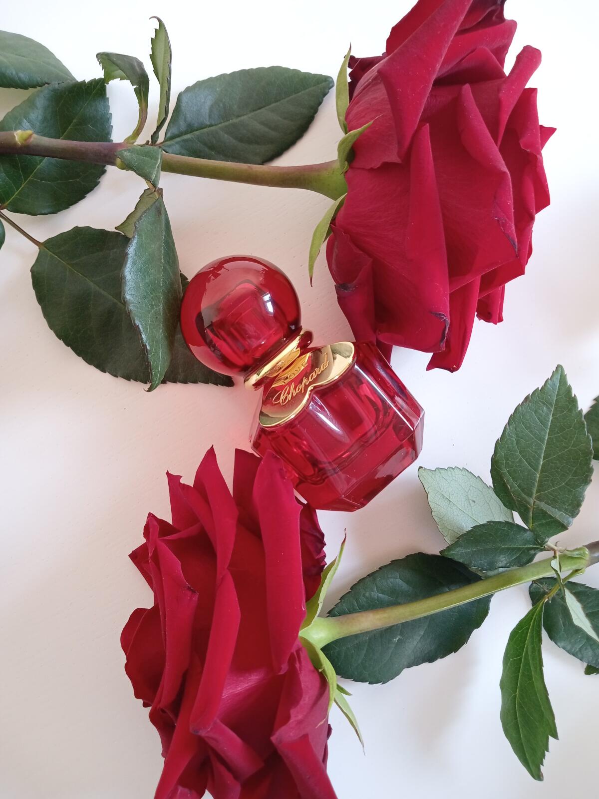 Love Chopard Chopard perfume - a fragrance for women 2020