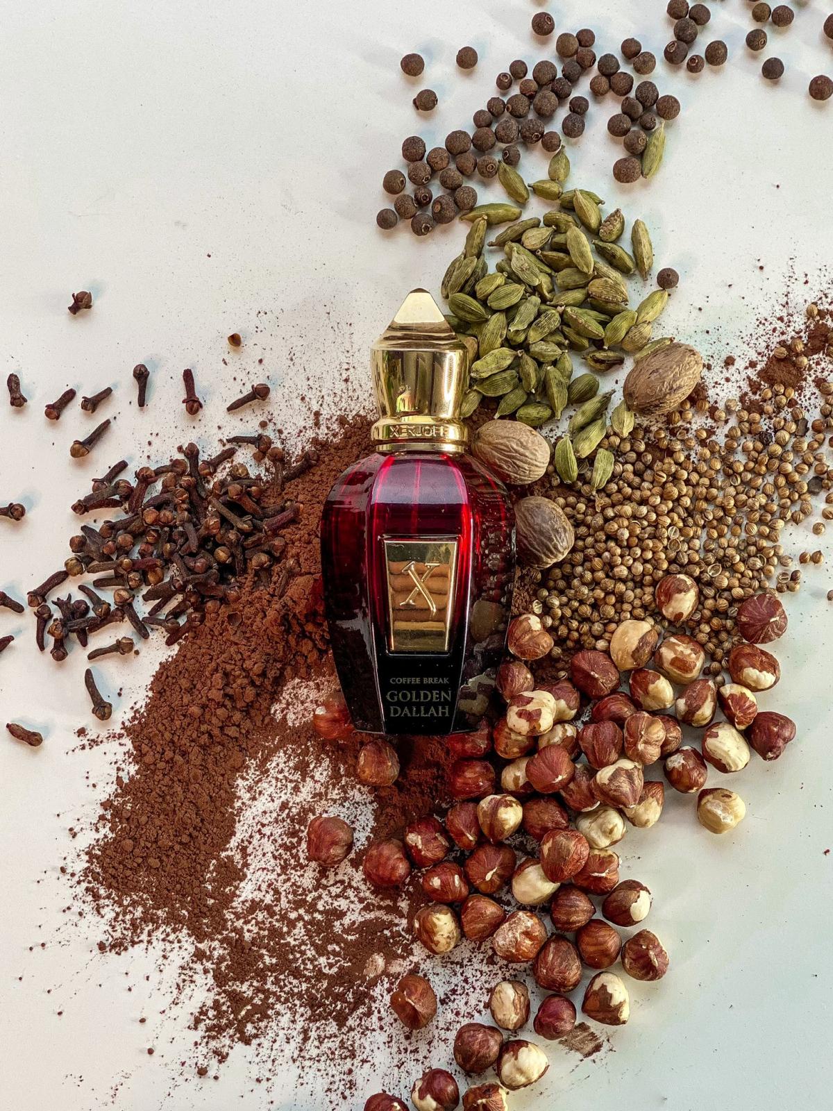 Golden Dallah Xerjoff perfume - a fragrance for women and men 2018