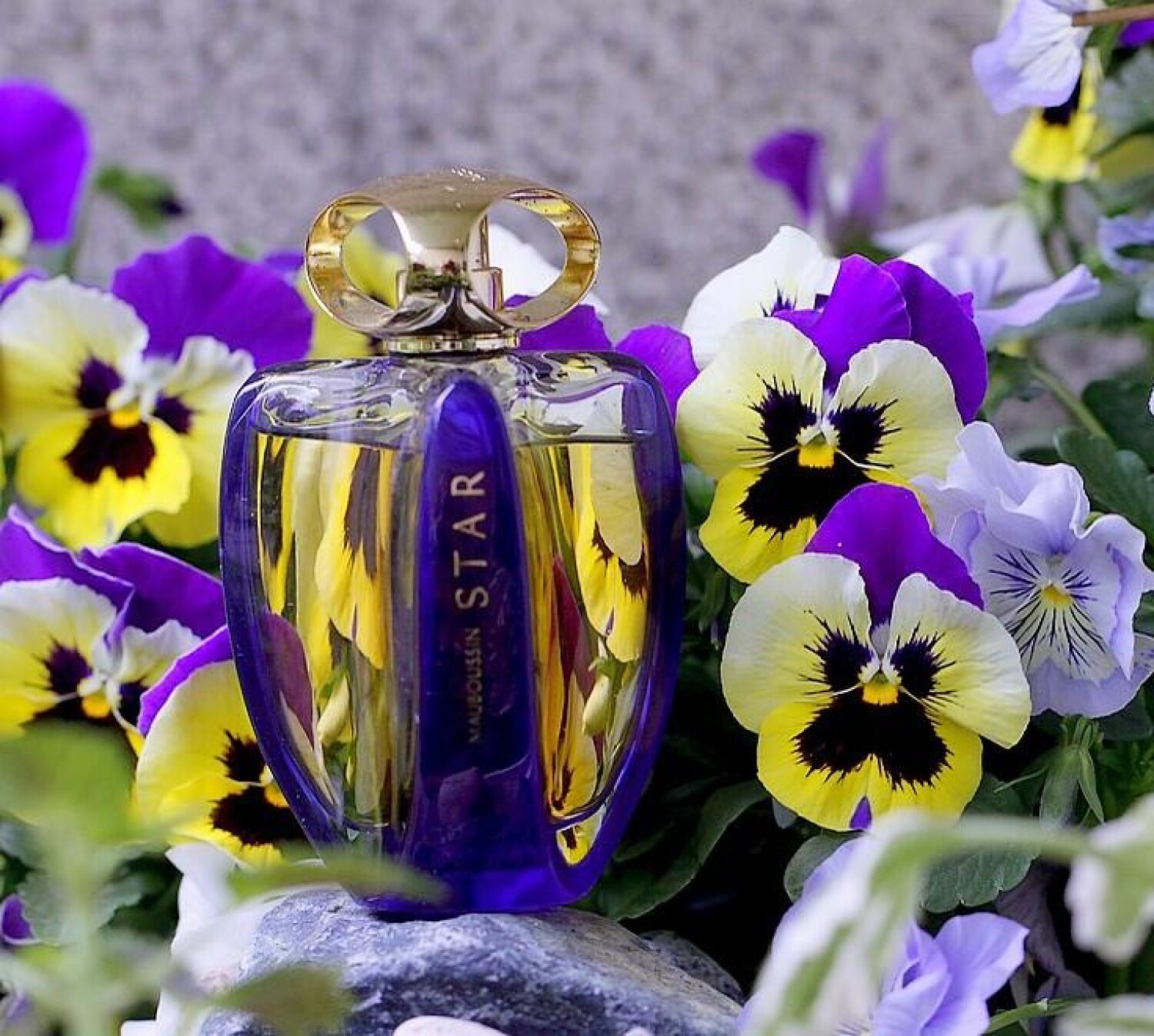 Star Mauboussin perfume - a fragrance for women 2023