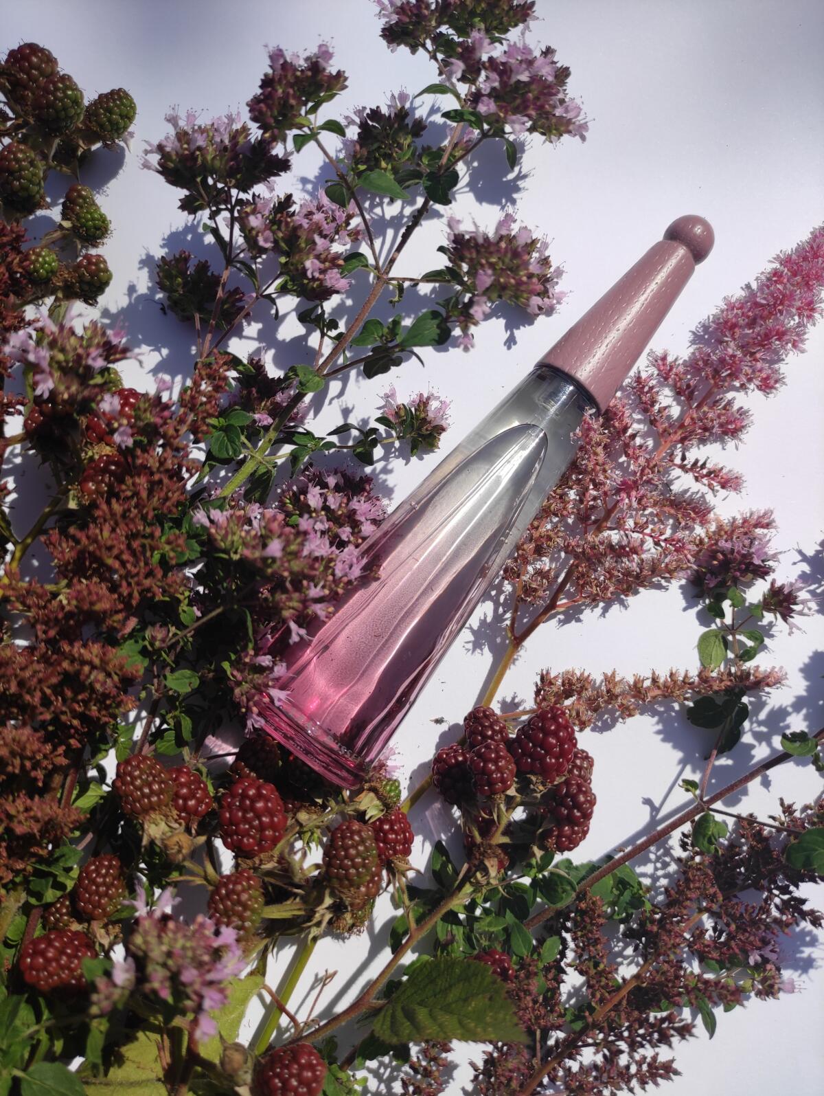 L'Eau d'Issey Solar Violet Issey Miyake perfume - a new fragrance for women 2024