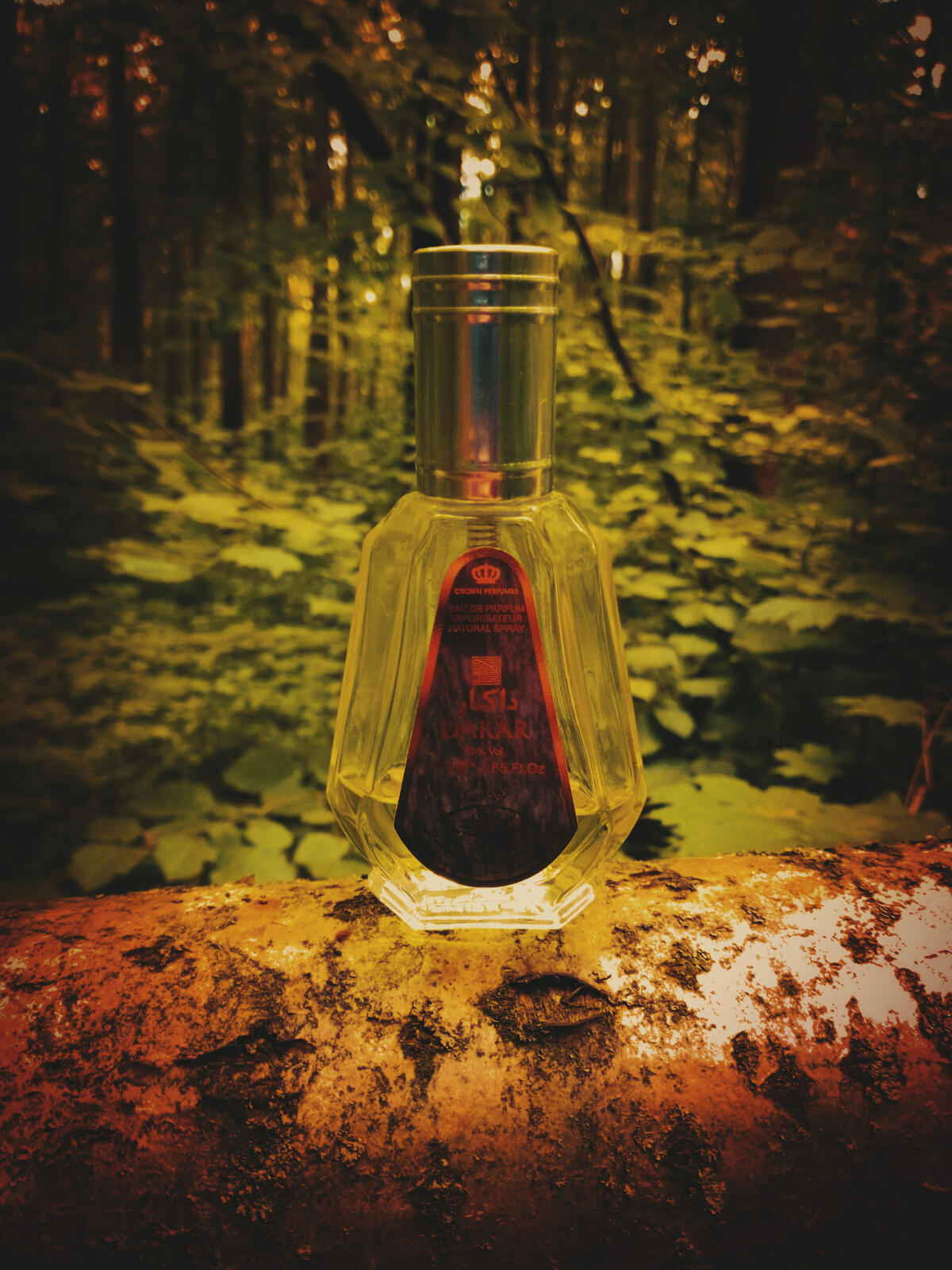 Dakar Al-Rehab cologne - a fragrance for men