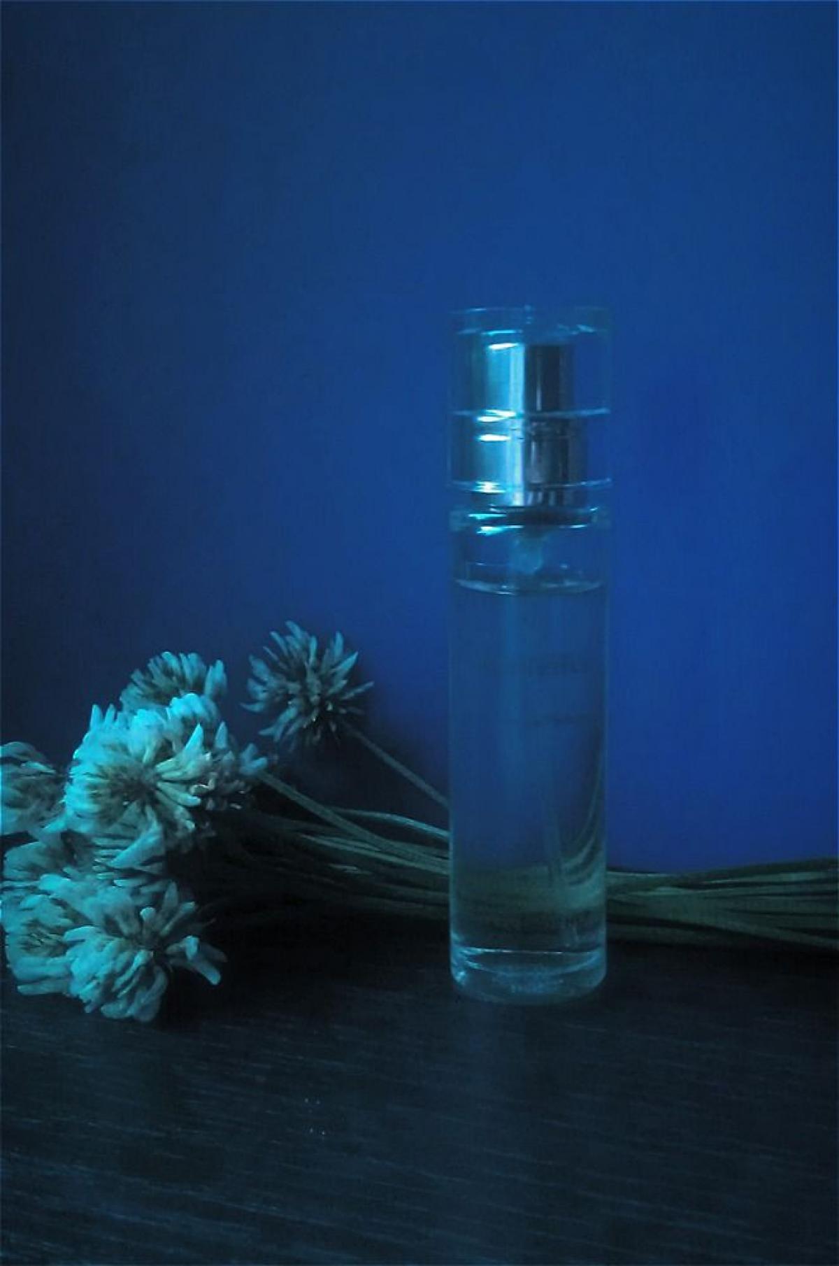 Comme Une Evidence L'Eau de Parfum Yves Rocher perfume - a fragrance ...