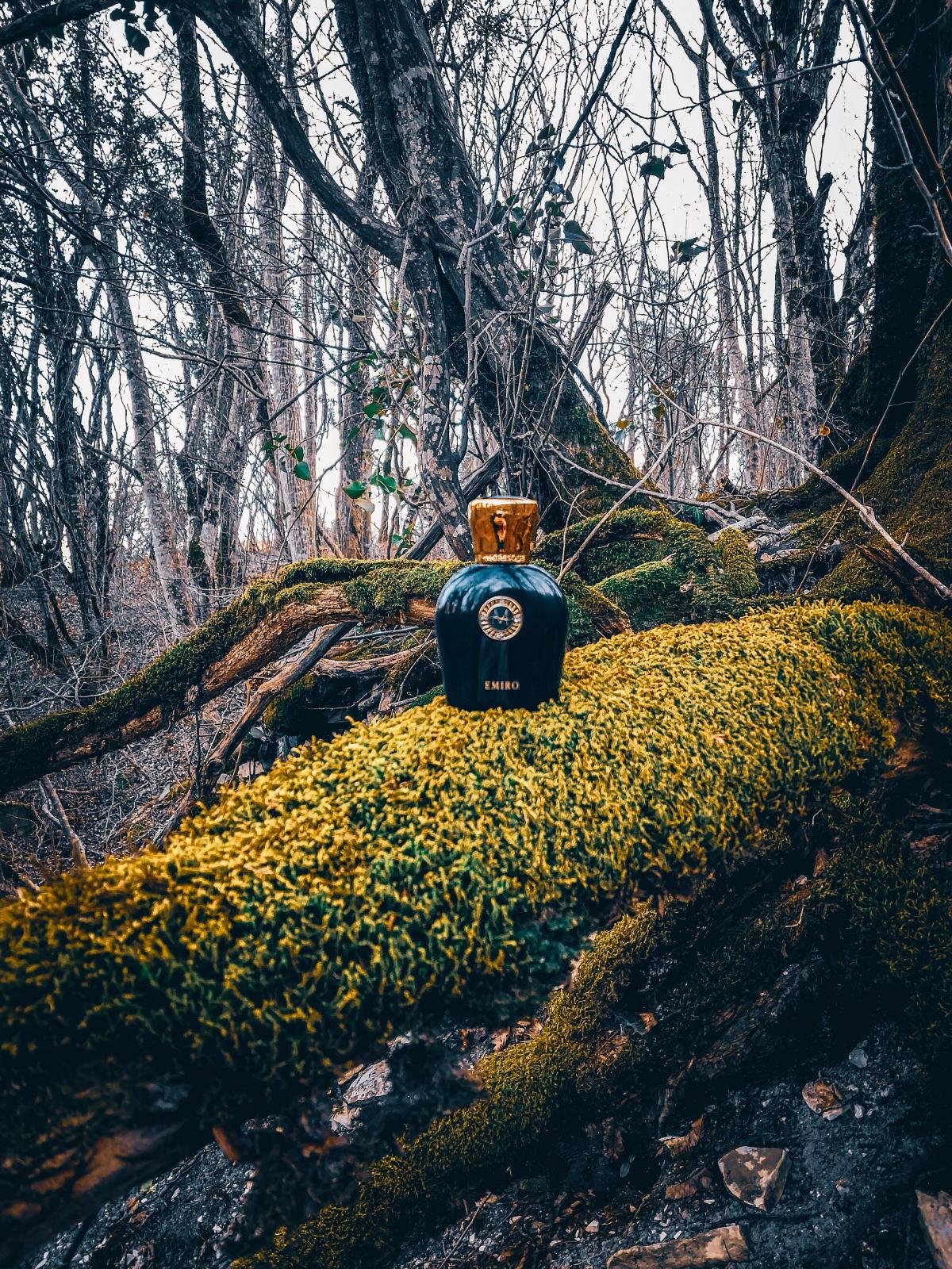 Emiro Moresque perfume - a fragrance for women and men 2015