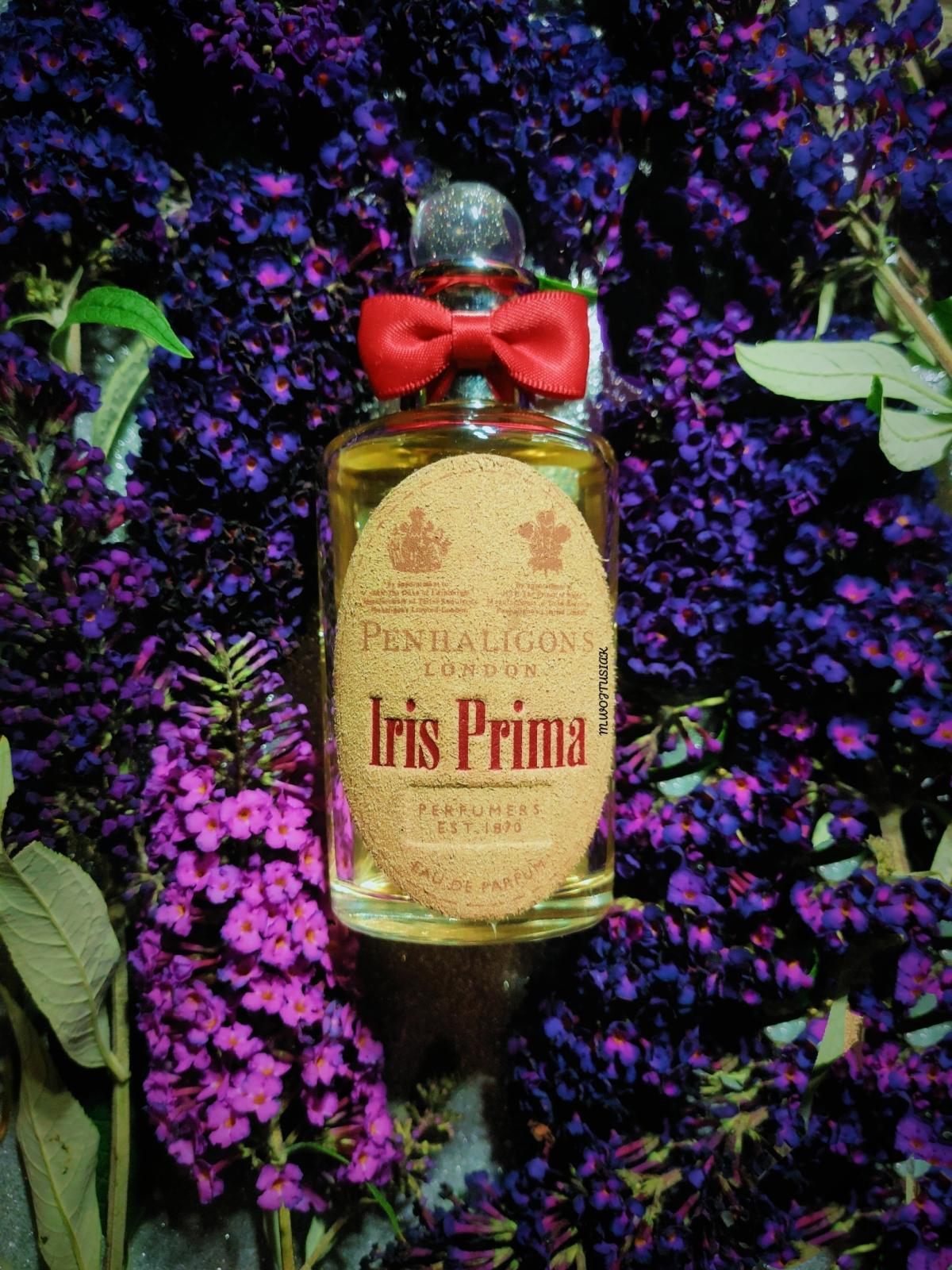 Iris Prima Penhaligon's perfume - a fragrance for women and men 2013