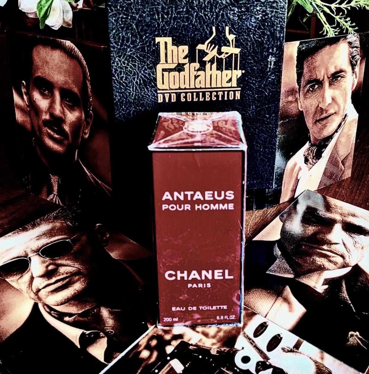 Antaeus Chanel cologne - a fragrance for men 1981