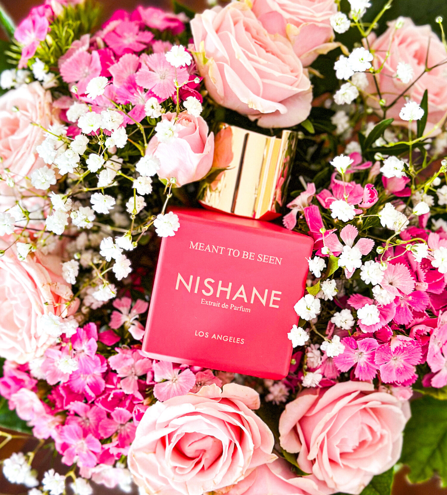 Meant To Be Seen Nishane perfume - a new fragrance for women and men 2025
