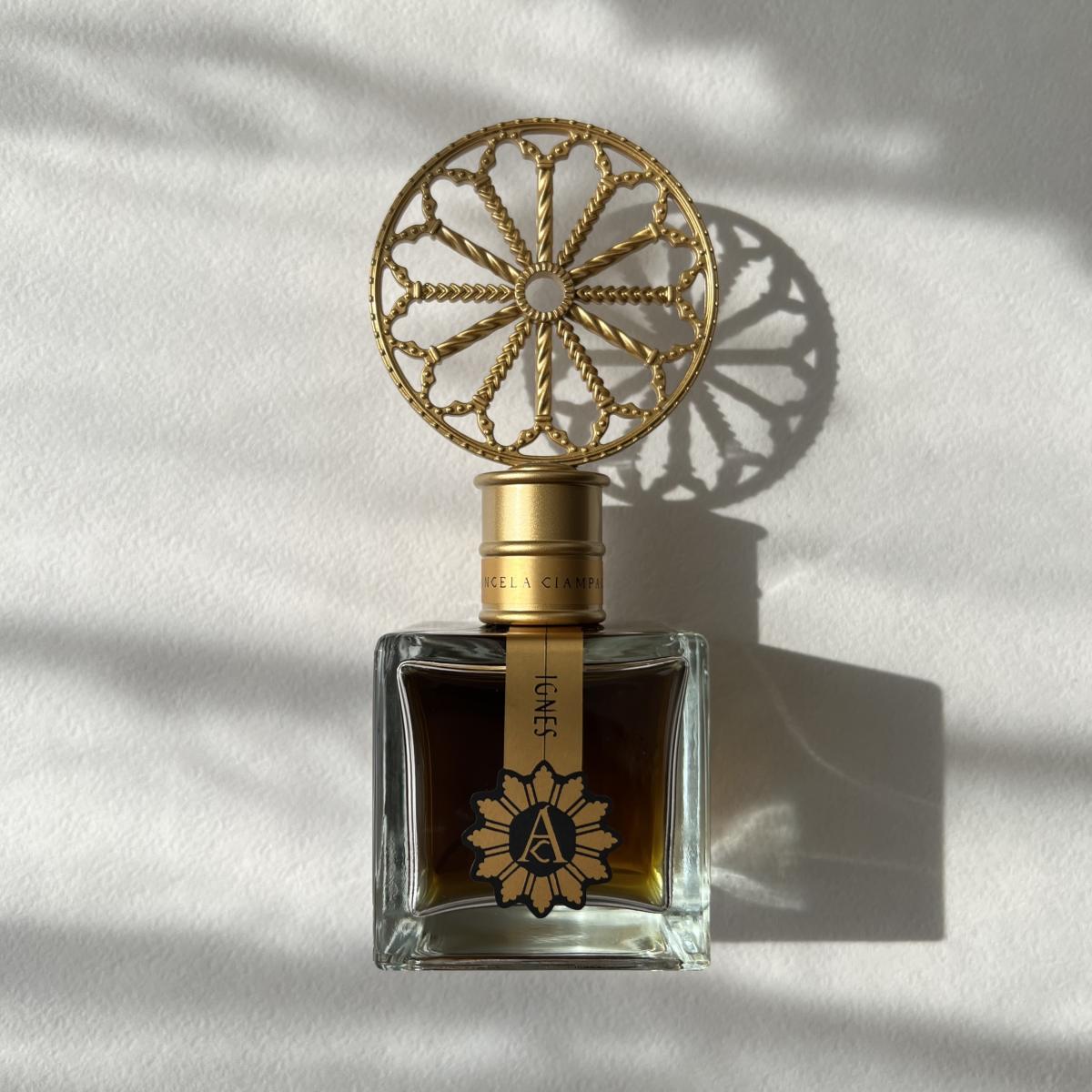 Ignes Angela Ciampagna perfume - a fragrance for women and men 2016