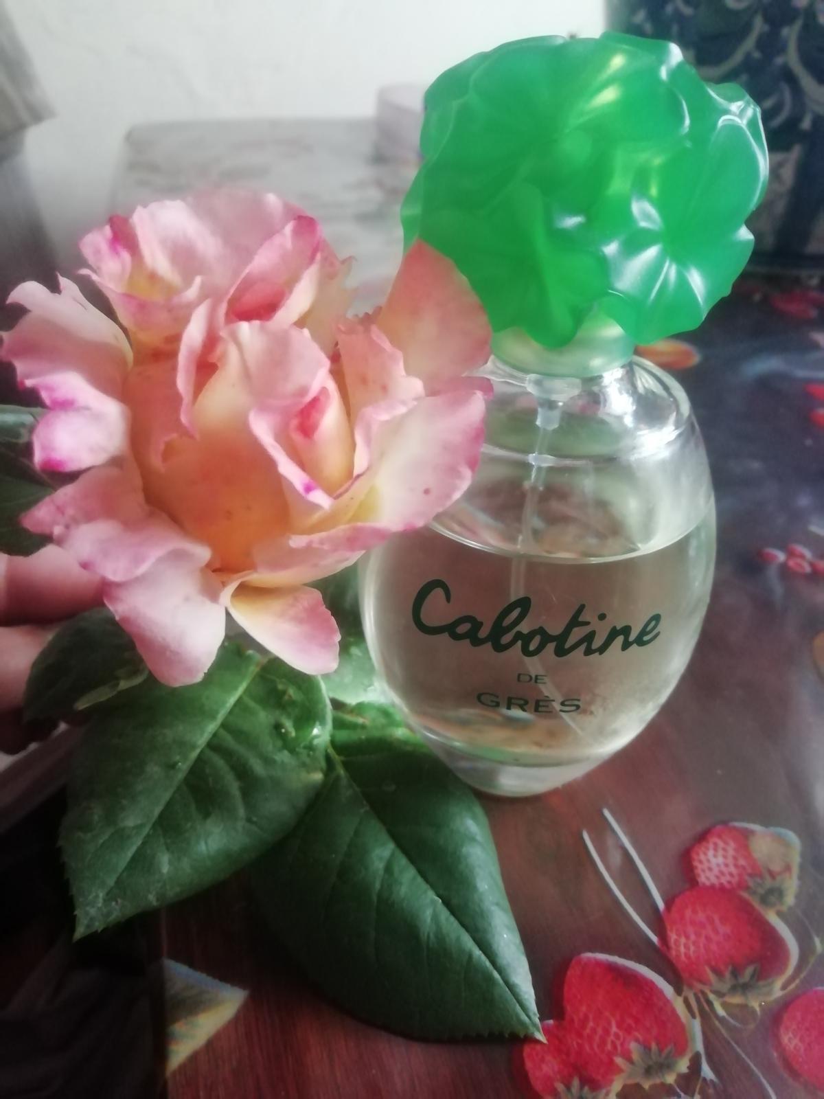 Cabotine Grès perfume - a fragrance for women 1990