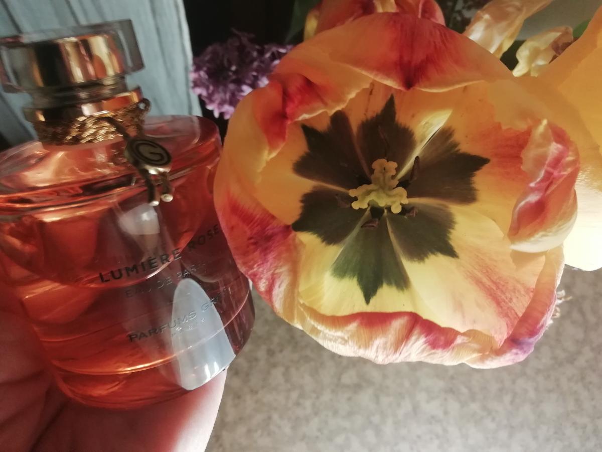 Lumiere Rose Grès fragancia - una fragancia para Mujeres 2013