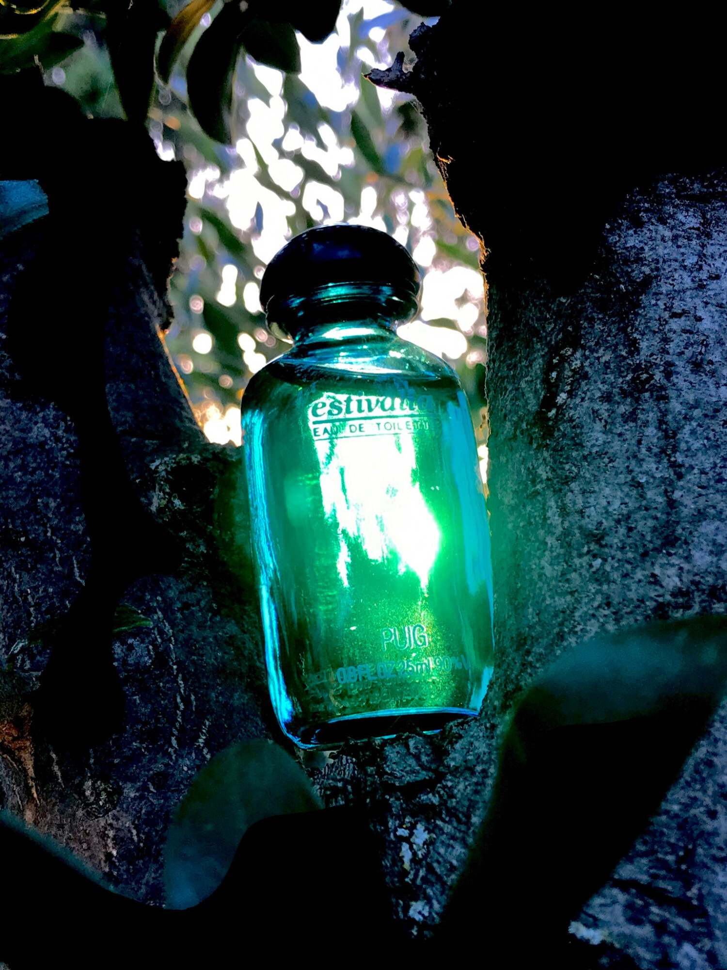 Estivalia Antonio Puig perfume - a fragrance for women 1973