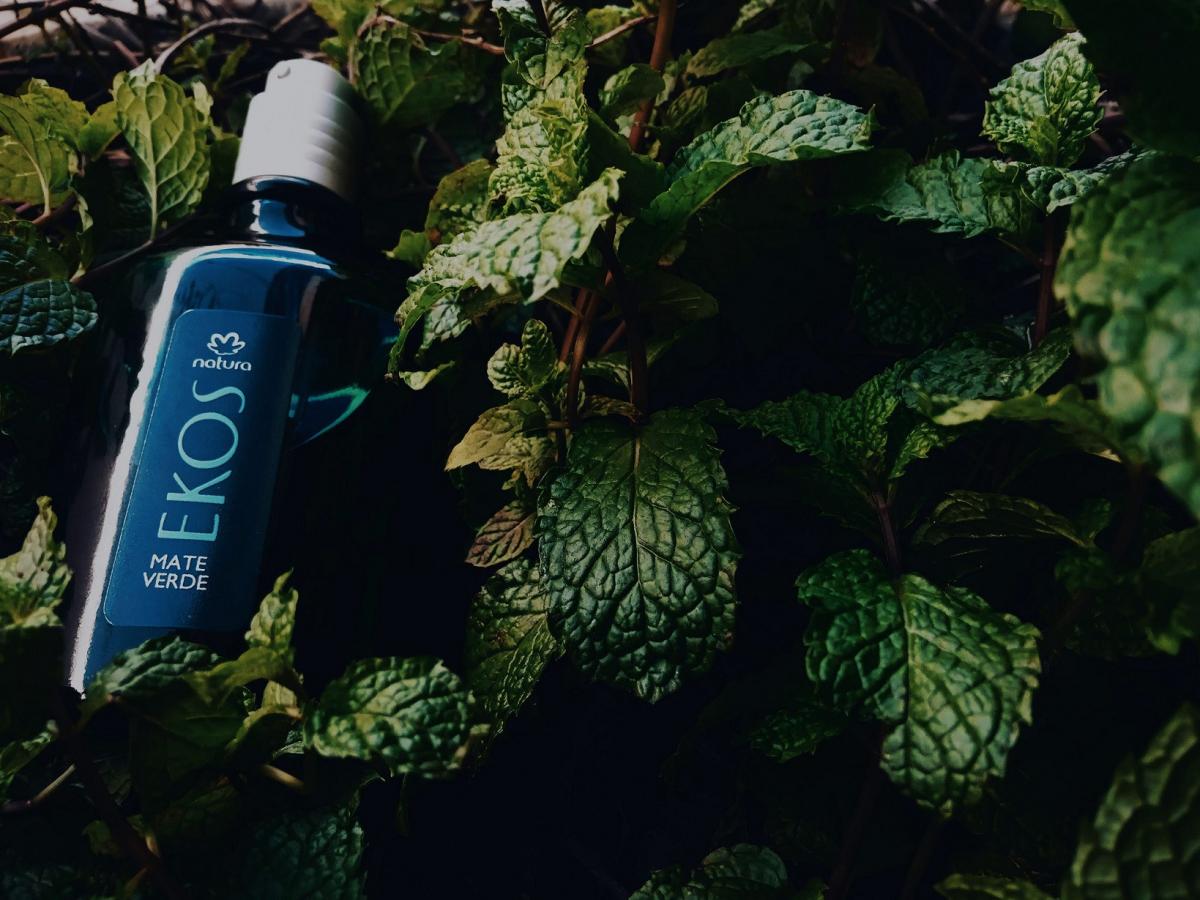 Mate Green (Mate Verde) Natura cologne - a fragrance for men 2012