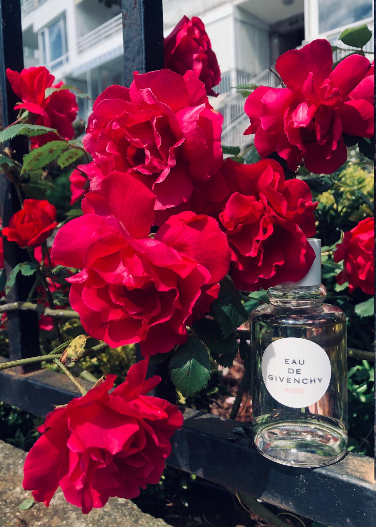 Eau de Givenchy Rosée Givenchy perfume - a fragrance for women 2019