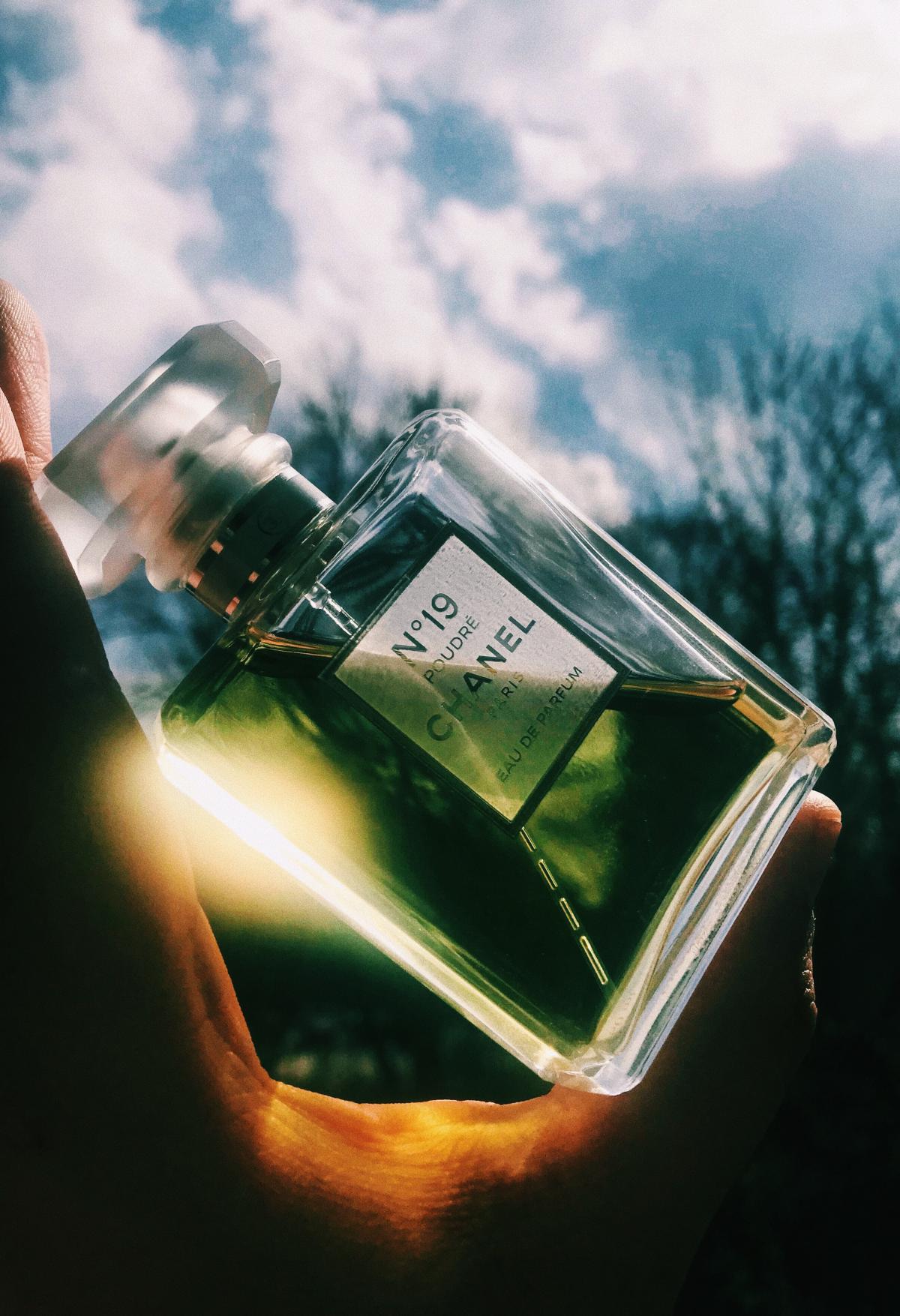 Chanel No 19 Poudre Chanel άρωμα - ένα άρωμα για γυναίκες 2011