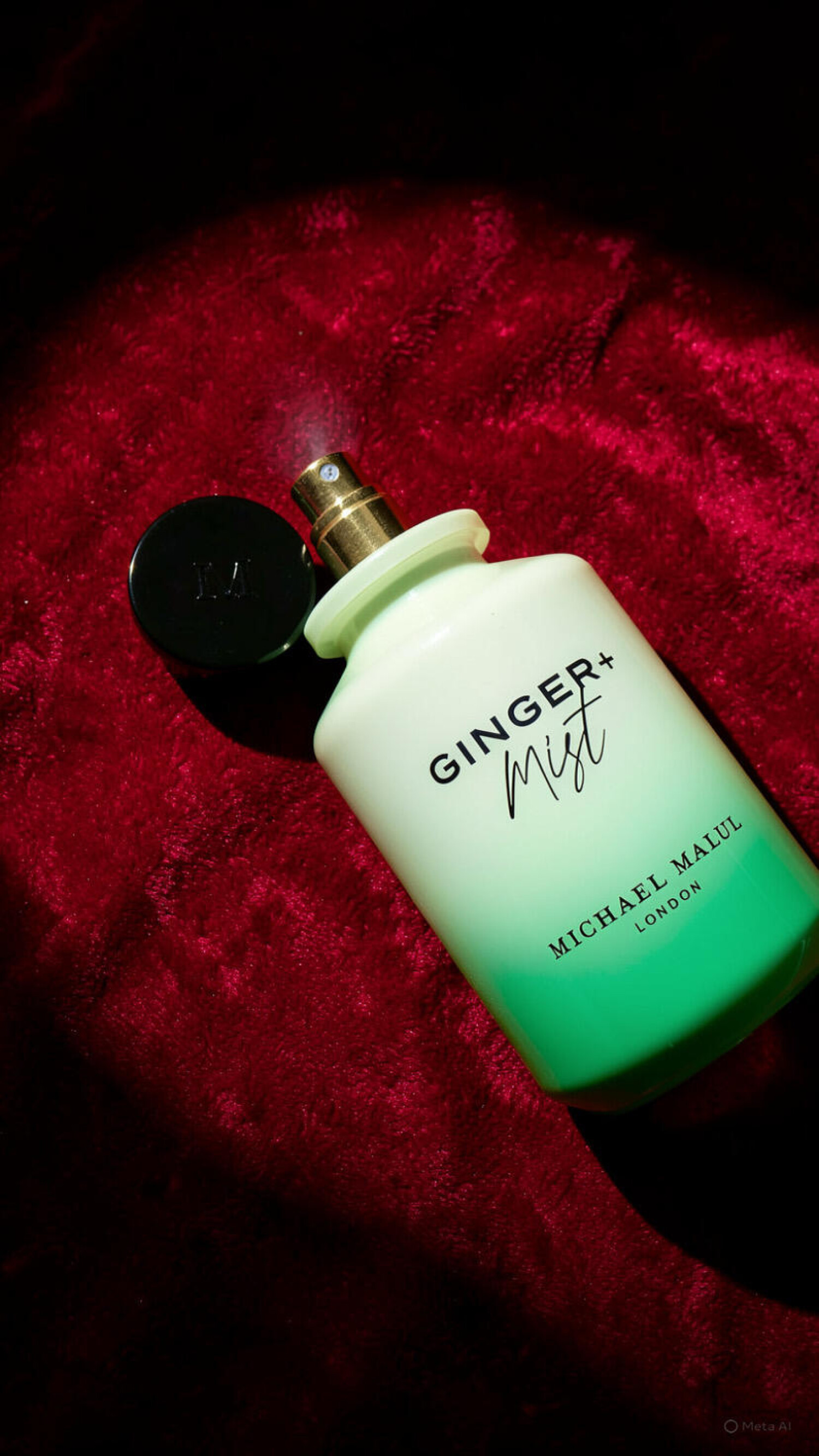Ginger+Mist Michael Malul London perfume - a new fragrance for women ...