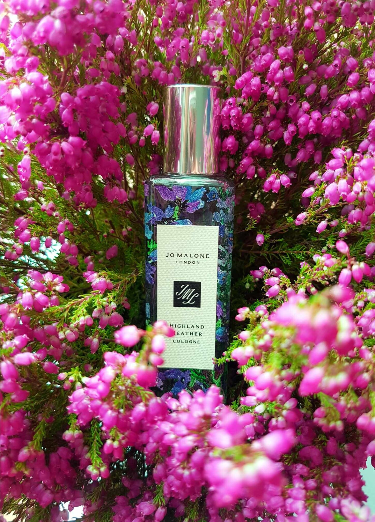 Highland Heather Jo Malone London perfume - a fragrance for women and ...